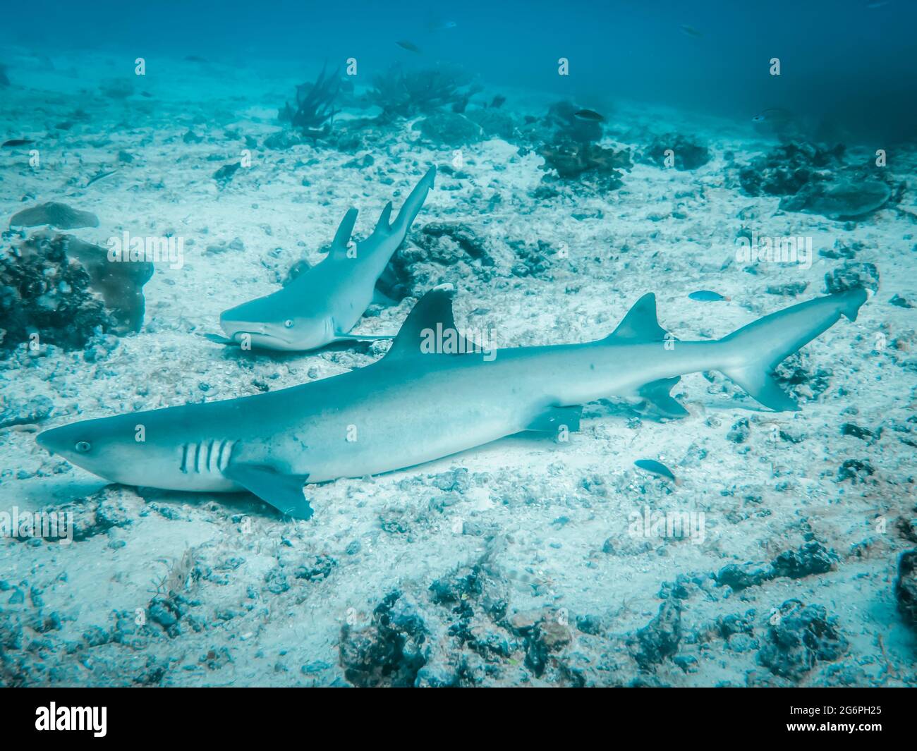 Rest water on bottom hi-res stock photography and images - Alamy