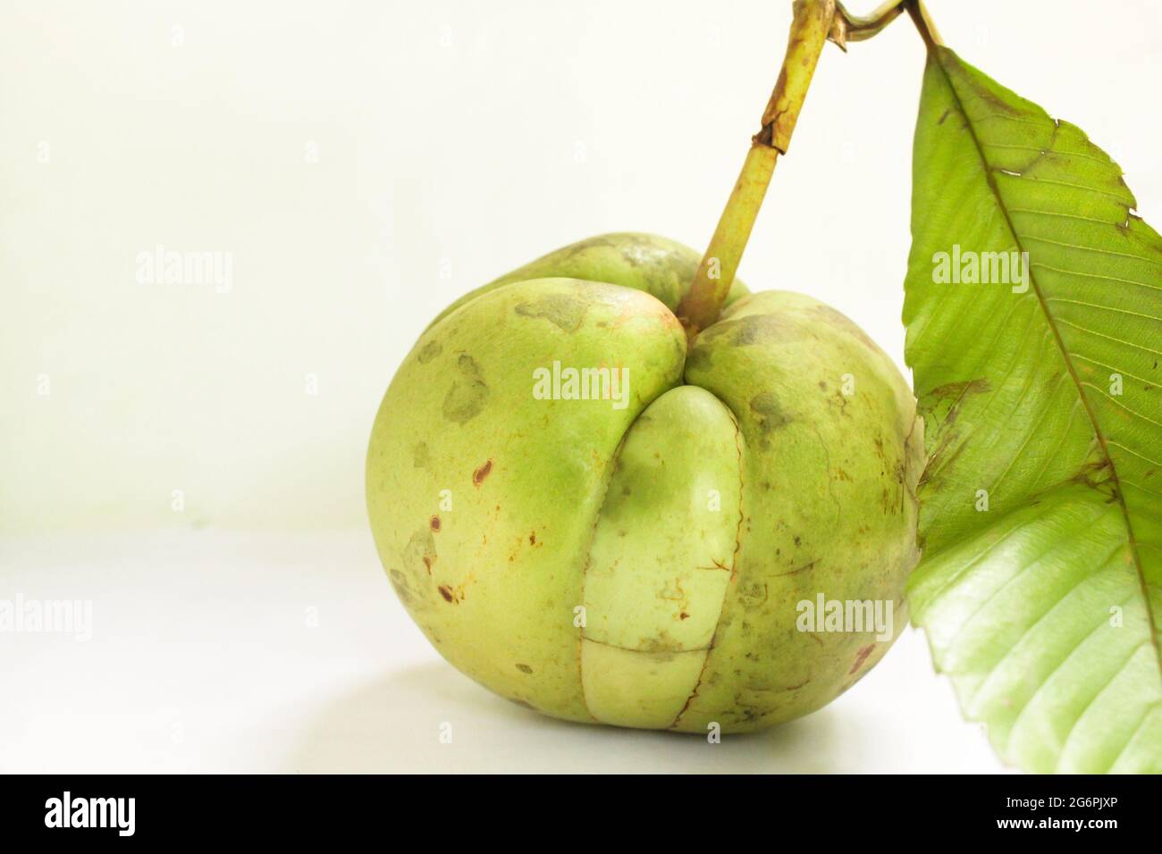 dillenia indica fruit on isolated white surface Stock Photo - Alamy