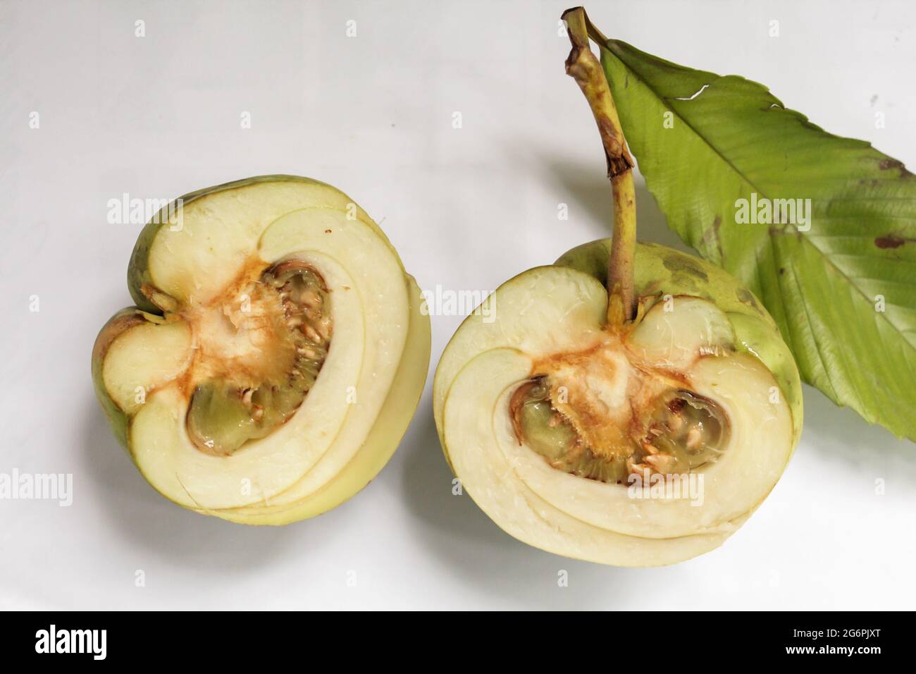 Elephant apple or chulta fruit dillenia indica hi-res stock photography ...