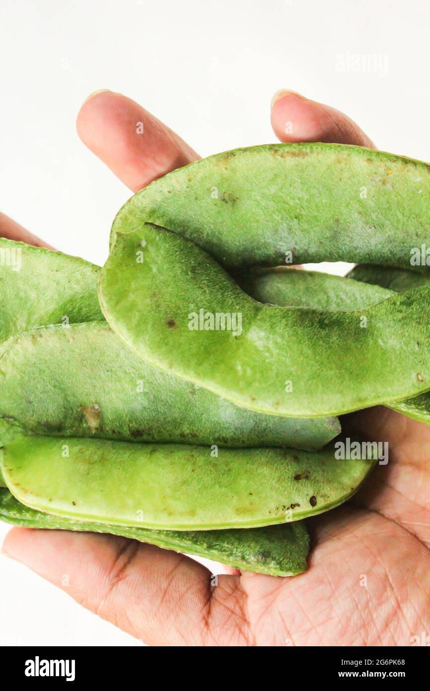 Green garden fresh bean on hand Stock Photo - Alamy