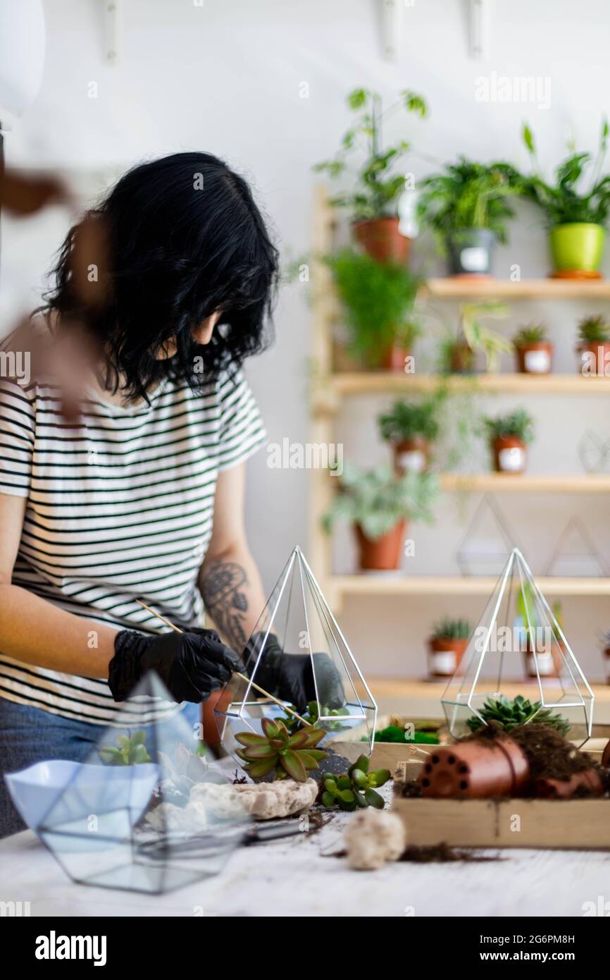 Creative florist woman transplanting succulent into glass florarium ...