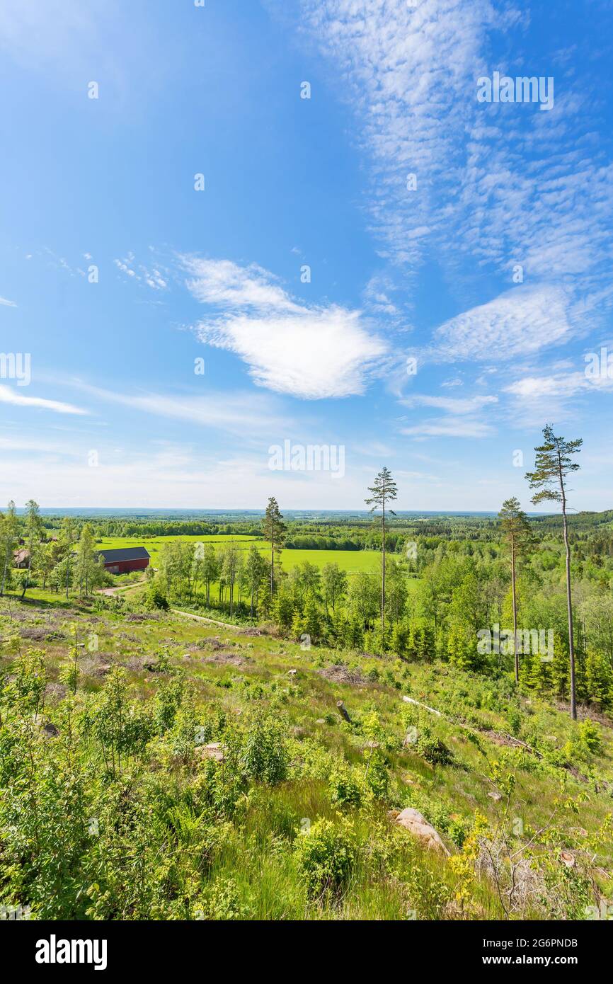 View of a clearcut area and a farm at the farest Stock Photo - Alamy