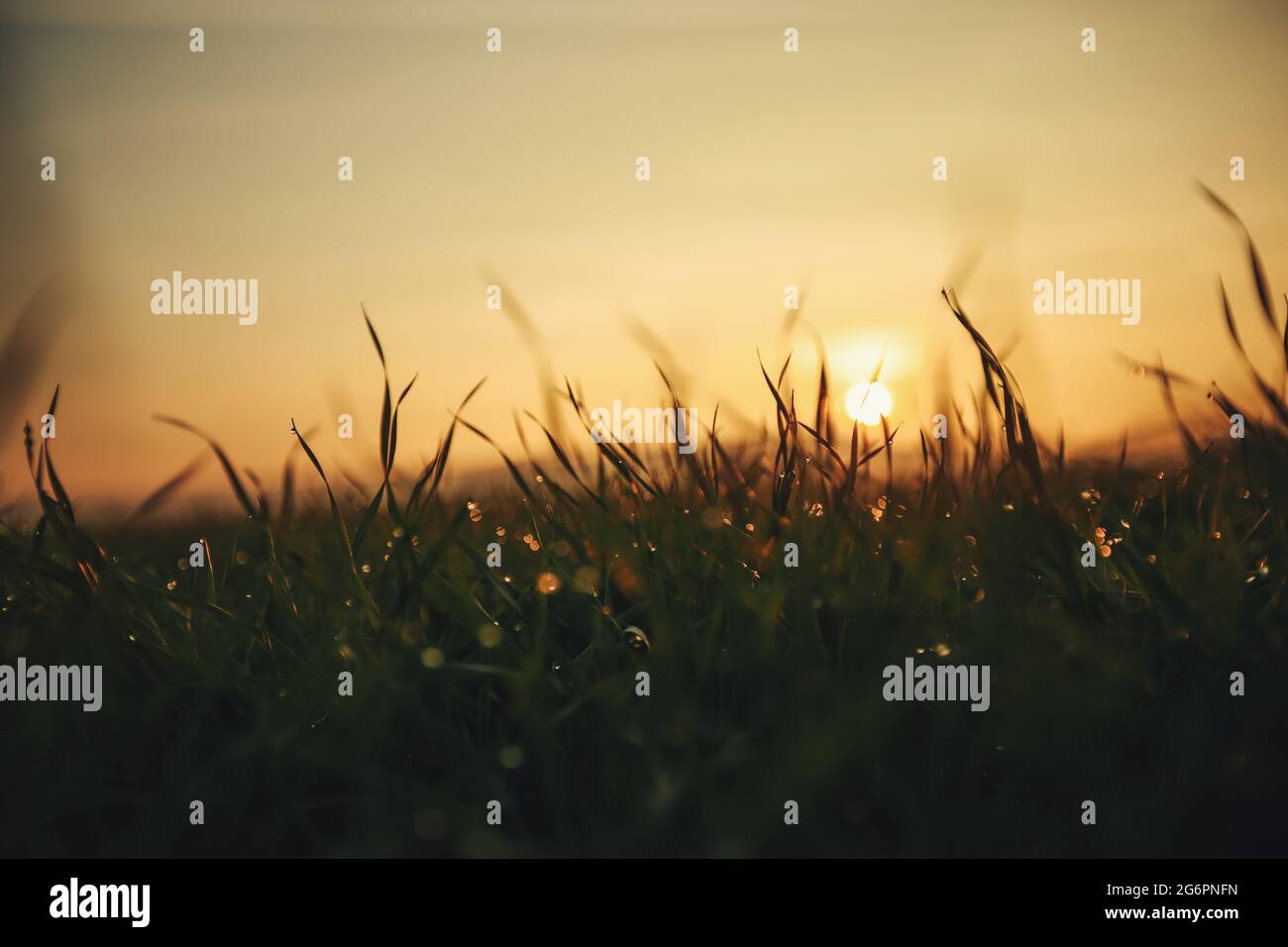 Shallow ground water hi-res stock photography and images - Alamy