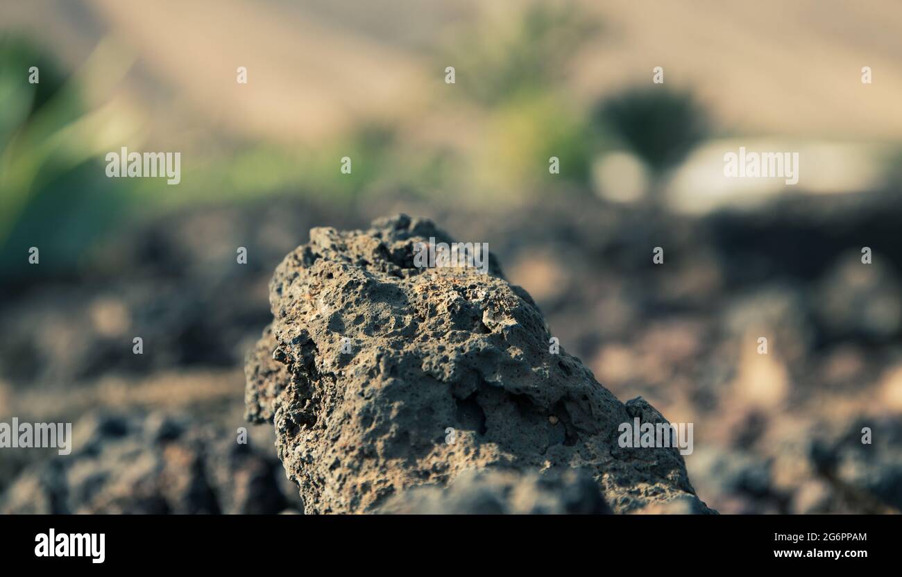 Close up of a lump of clay in a park under the sunlight with blurred ...