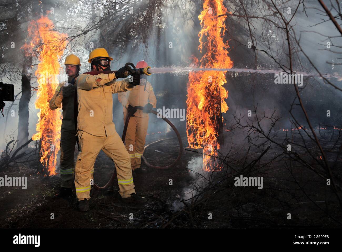 Forest fire extinguishing works. Firefighters extinguishing forest fire ...