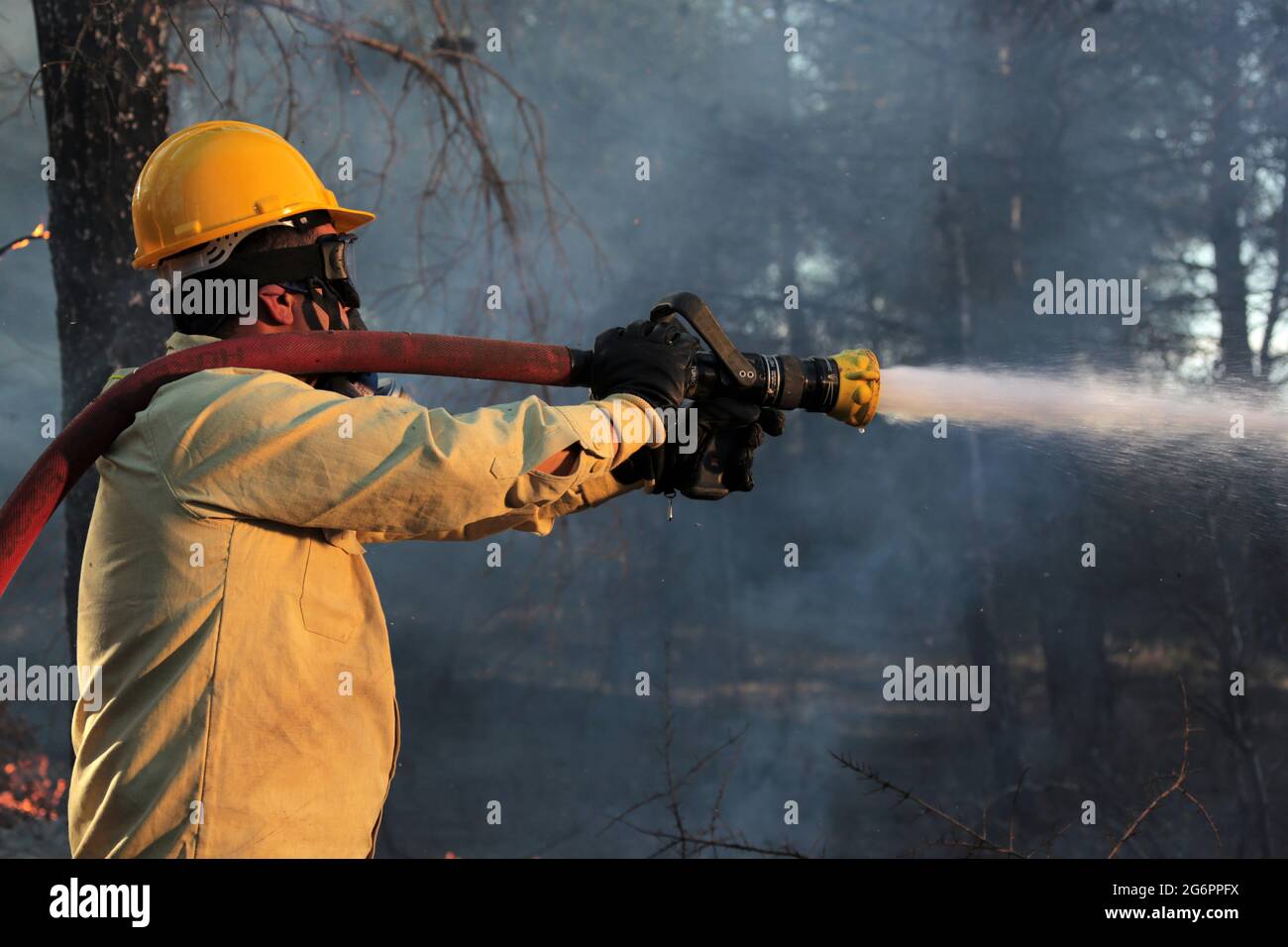 Forest Fire Extinguishing Works Firefighters Extinguishing Forest Fire