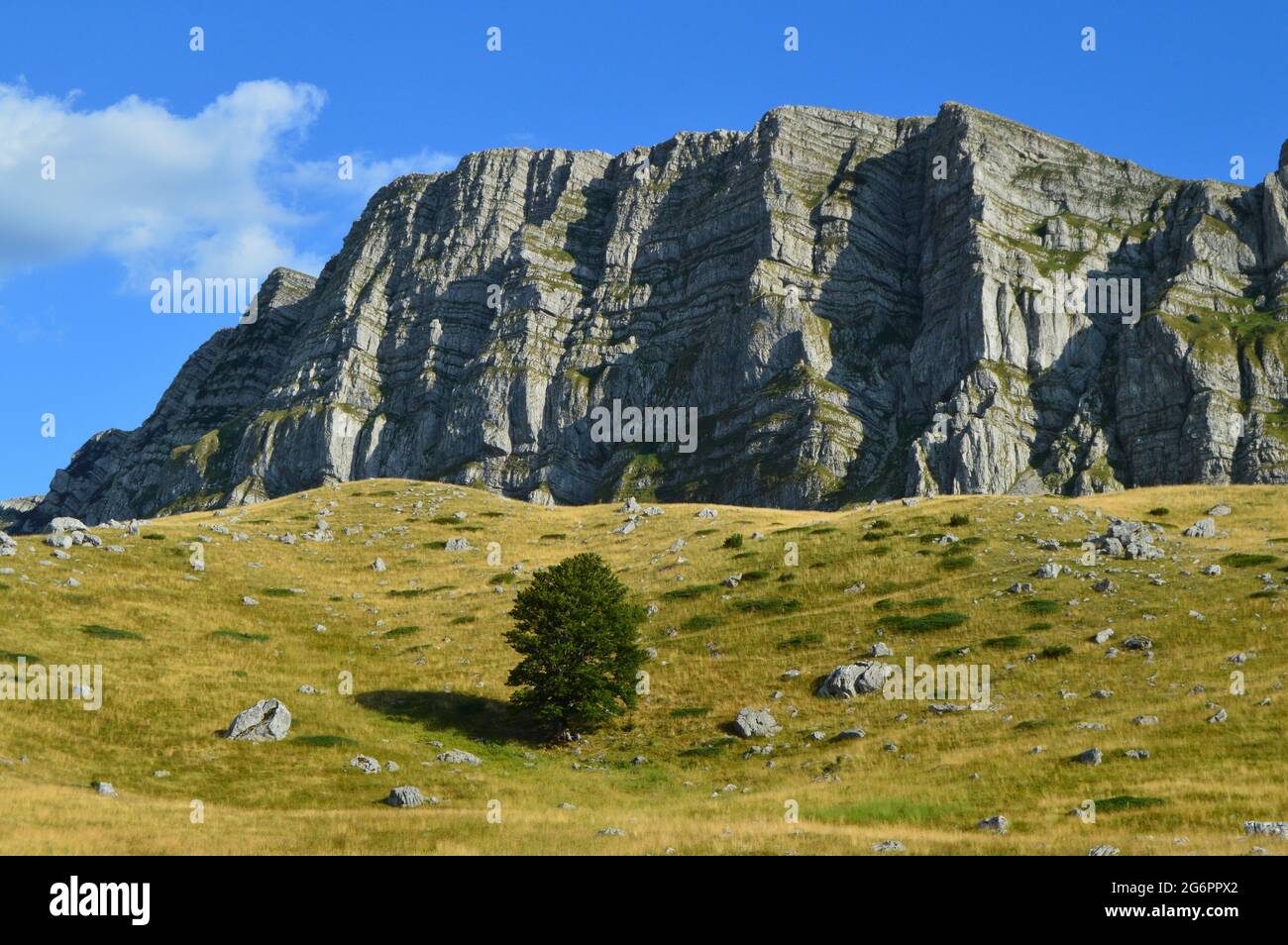 Volujak mountain hi-res stock photography and images - Alamy
