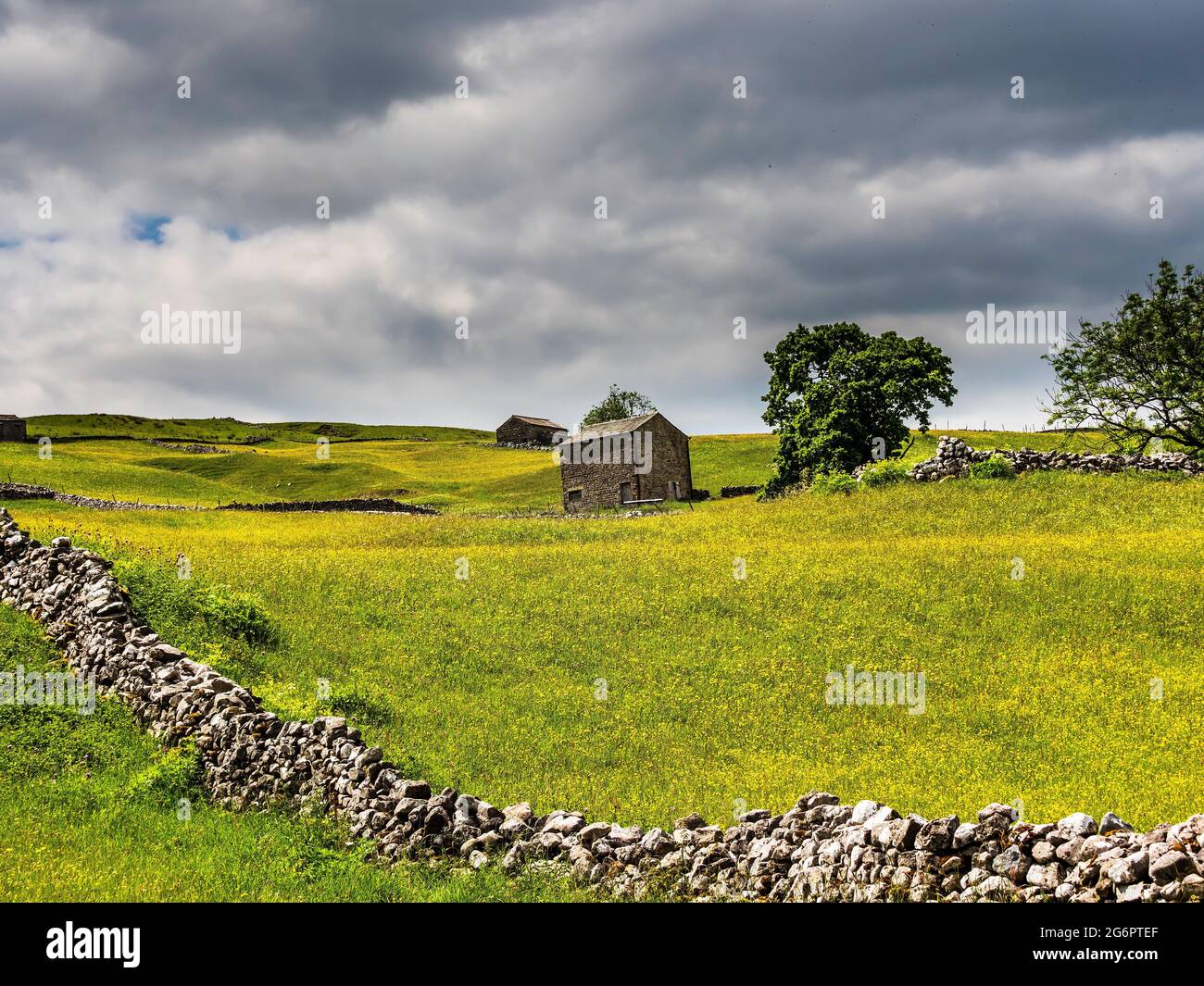 Hay meadows in yorkshire dales hi-res stock photography and images - Alamy
