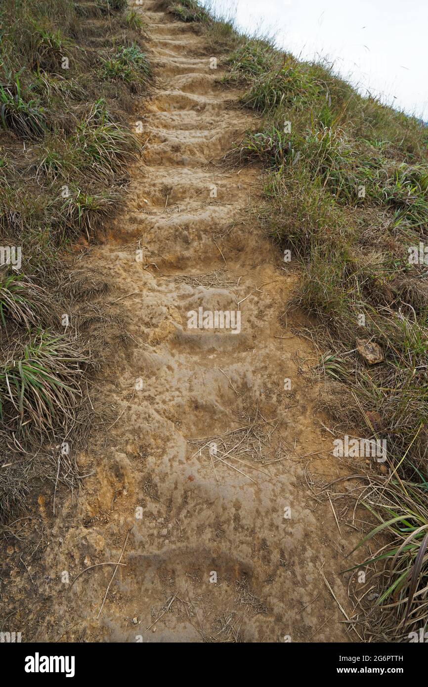 Natural grassy pathway to the mountain peak with cloudy blue sky Stock ...