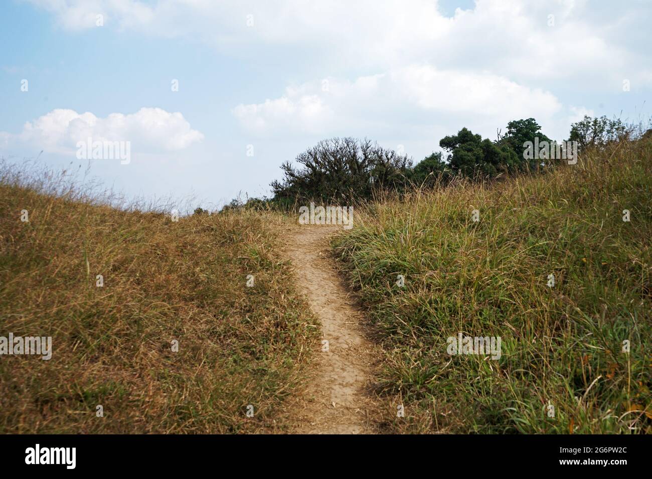 Natural grassy pathway to the mountain peak with cloudy blue sky Stock ...