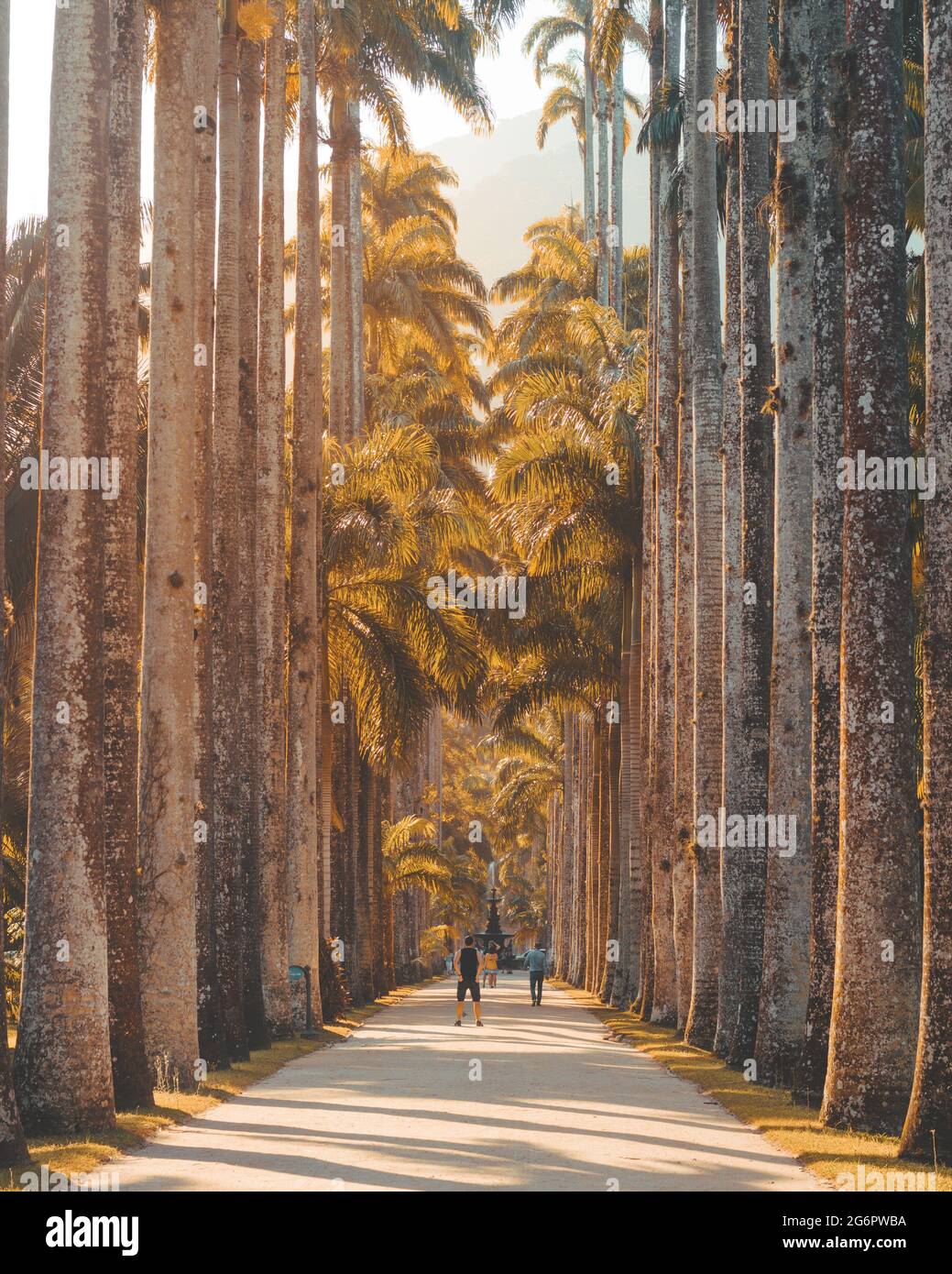 Scenic view o Stock Photo - Alamy