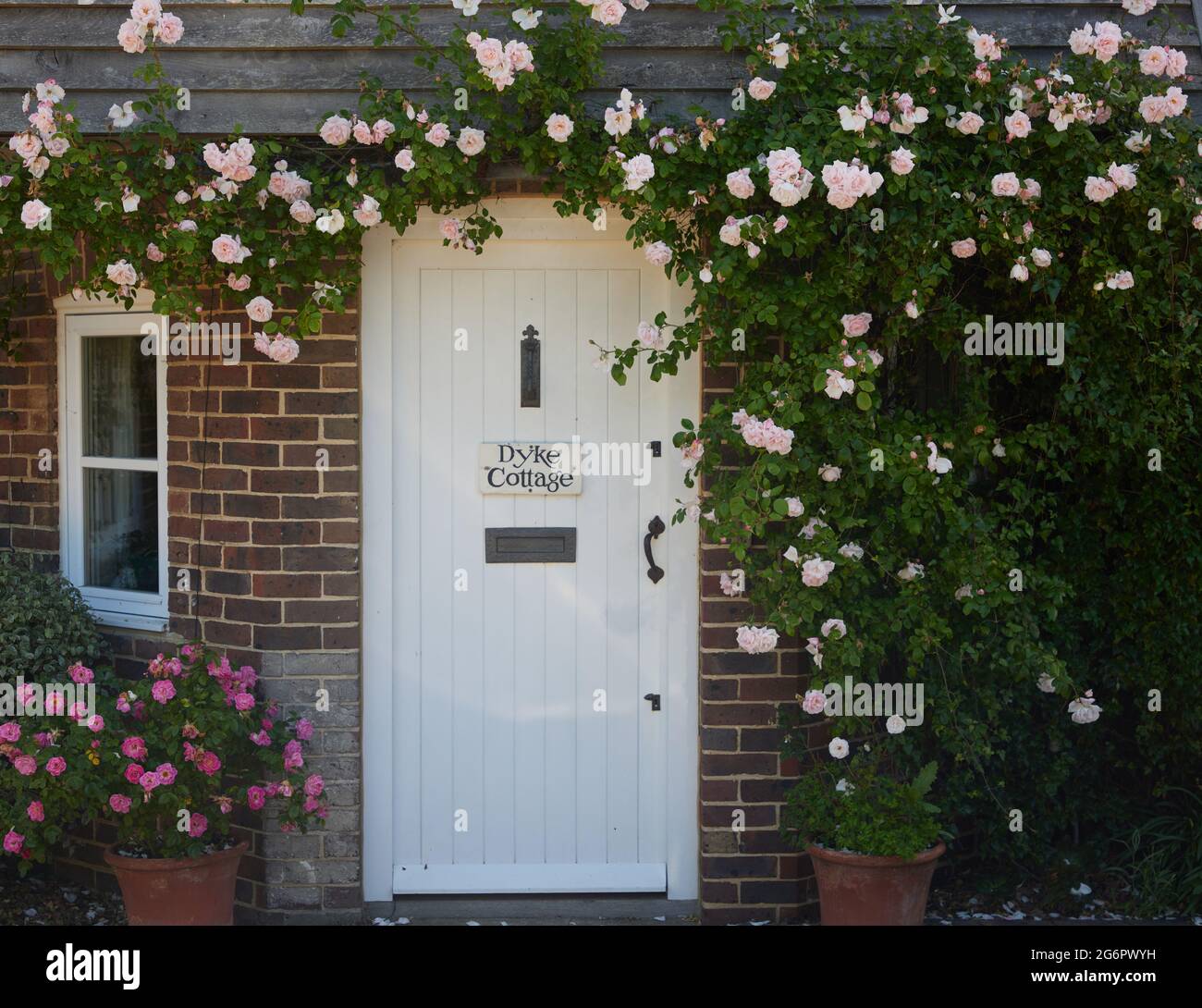 Exterior view of a small cottage with a climbing rose around its ...