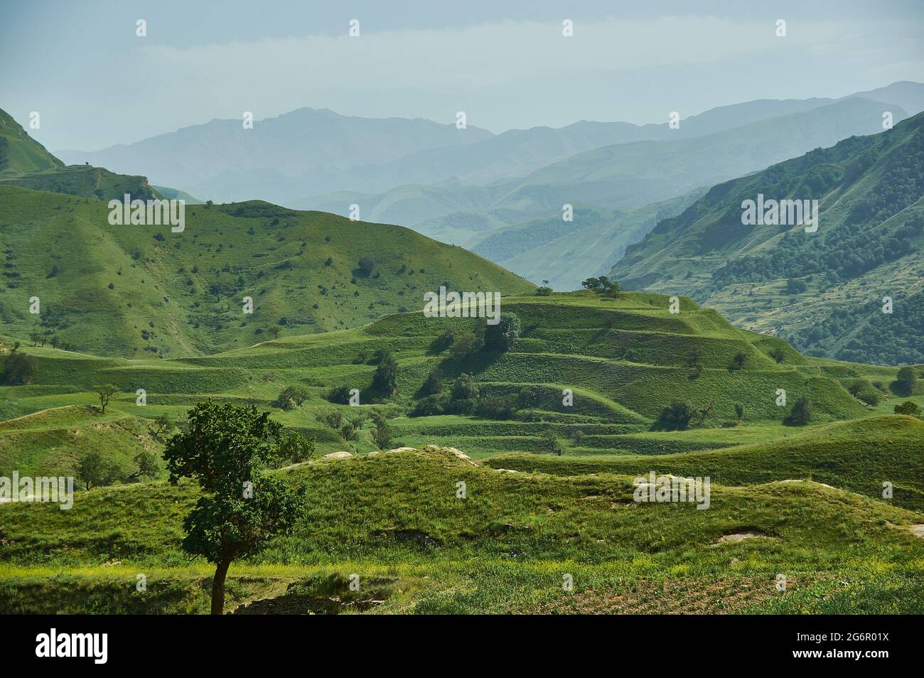 Man-made terraces of the village Chokh., big mountain formation in the ...