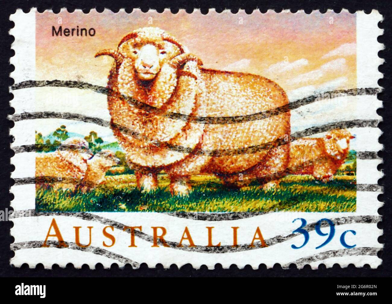 AUSTRALIA - CIRCA 1989: a stamp printed in the Australia shows Merino ...