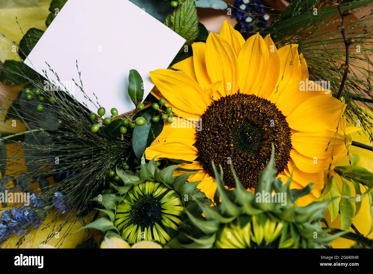 Congratulations card with flowers hi-res stock photography and images ...