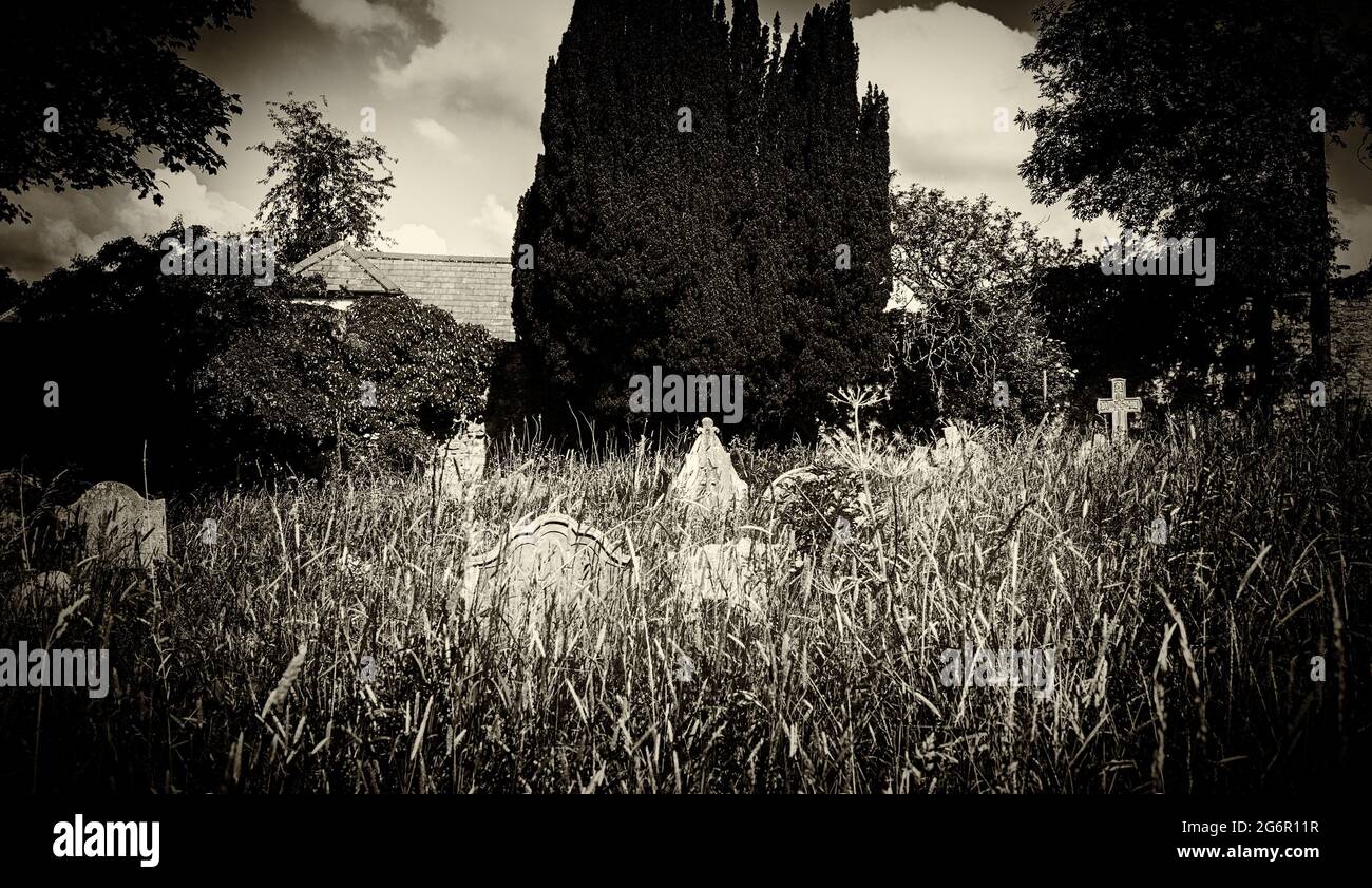 Overgrown cemetery hi-res stock photography and images - Alamy