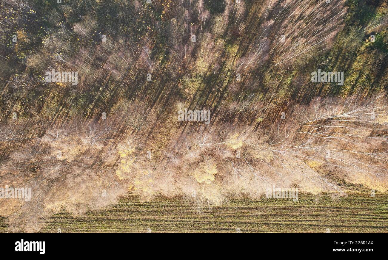 Aerial top view orange tree hi-res stock photography and images - Alamy