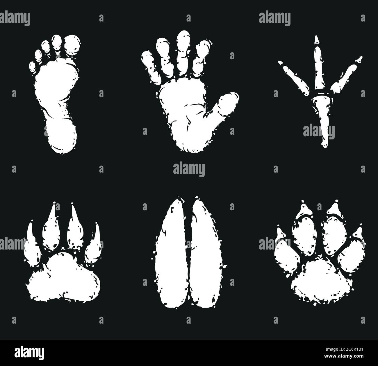 Monkey Footprint High Resolution Stock Photography and Images - Alamy
