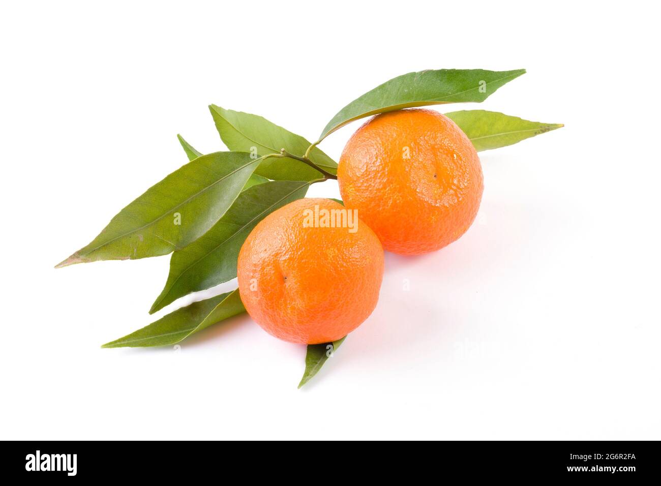 fresh mandarines isolated on white background. Oranges are arranged in ...