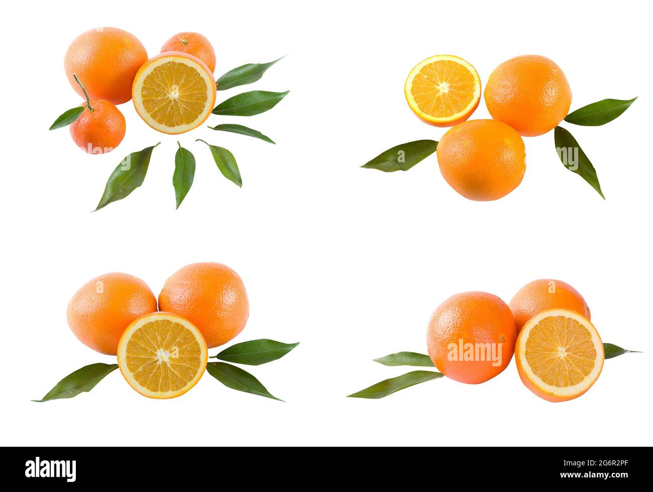 Oranges on a white background. Fresh citrus fruits on a white ...