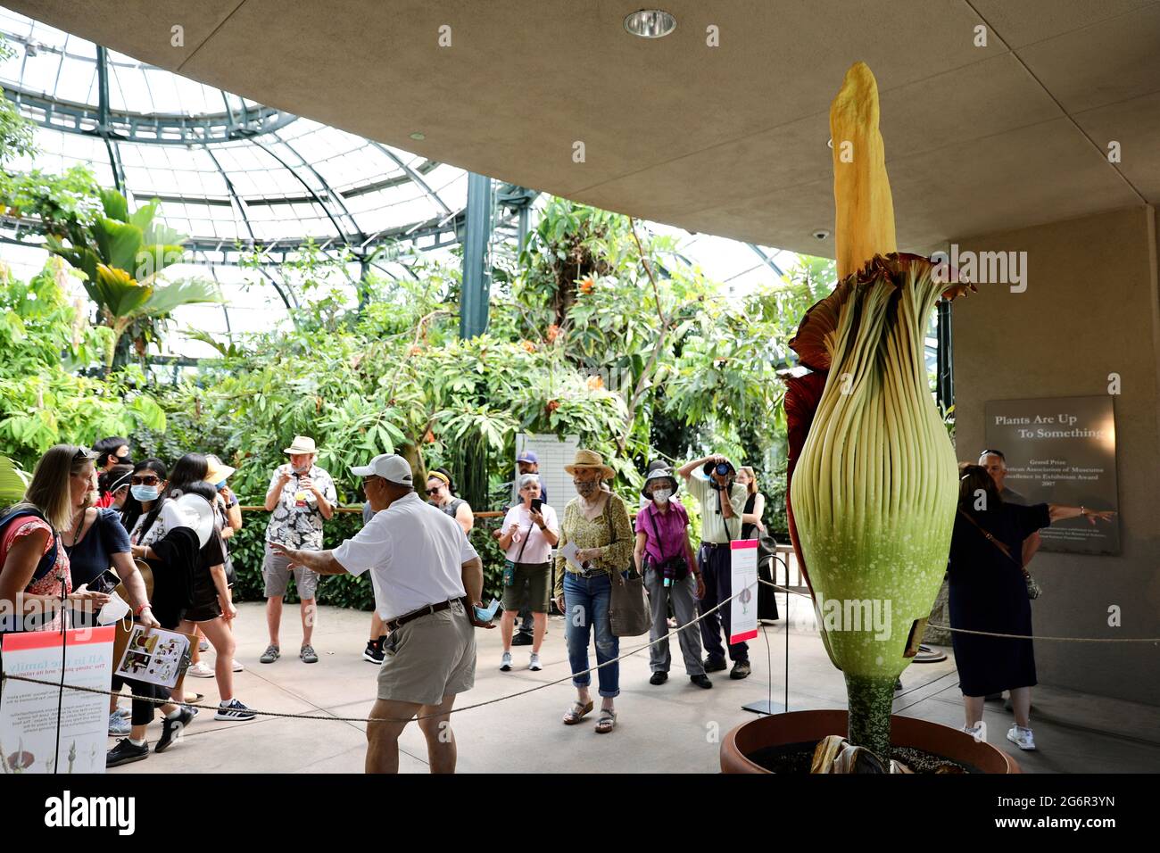 Putrefying hi-res stock photography and images - Alamy