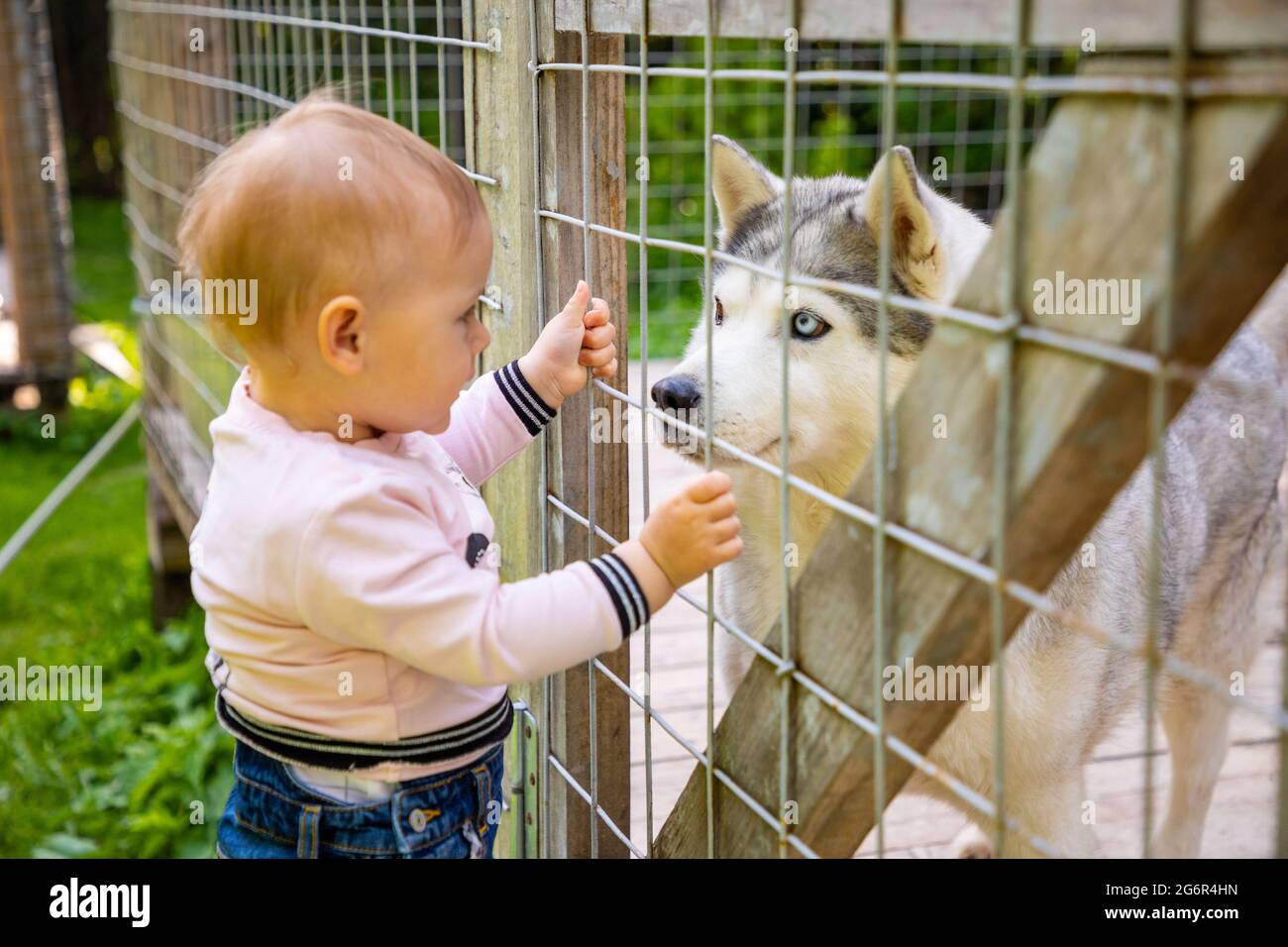 Lapland husky children hi-res stock photography and images - Alamy