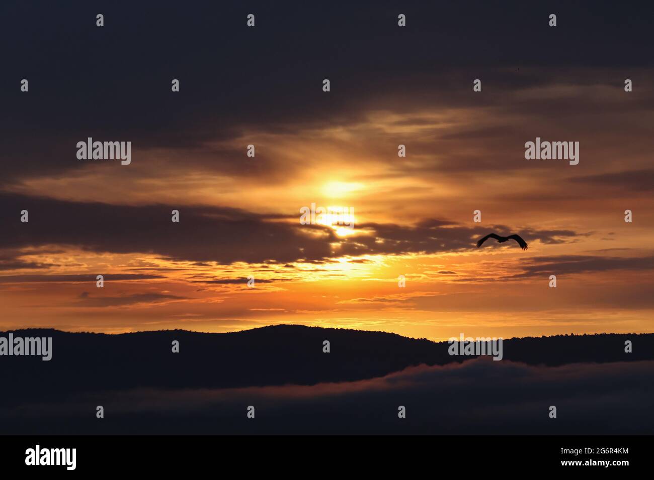 Sky bird sunlight mountains hi-res stock photography and images - Alamy
