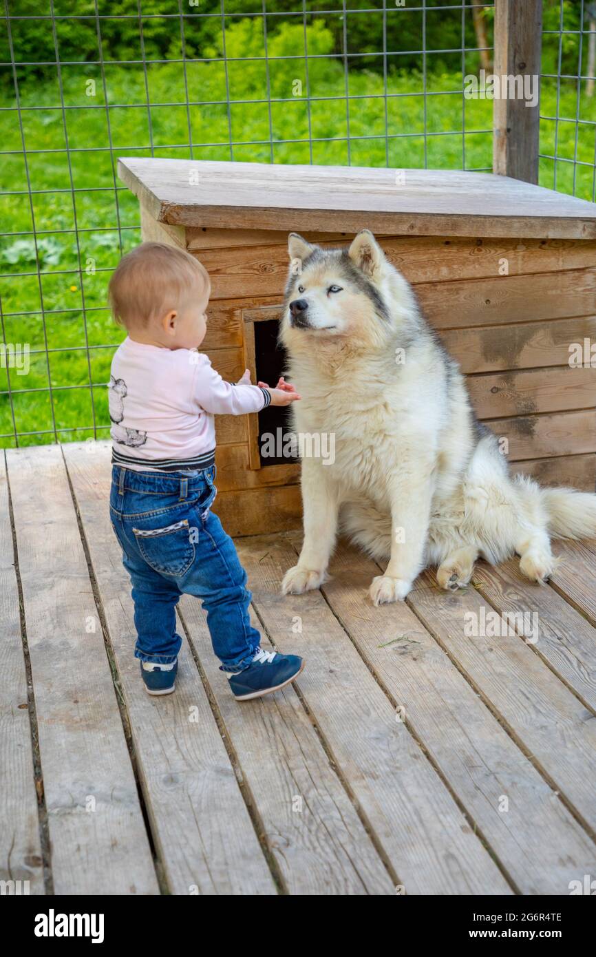 Lapland husky children hi-res stock photography and images - Alamy