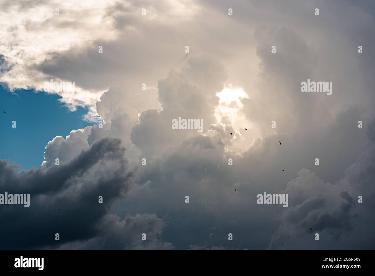 huge storm cloud, tower cumulus and cumulonimbus cloud Stock Photo - Alamy