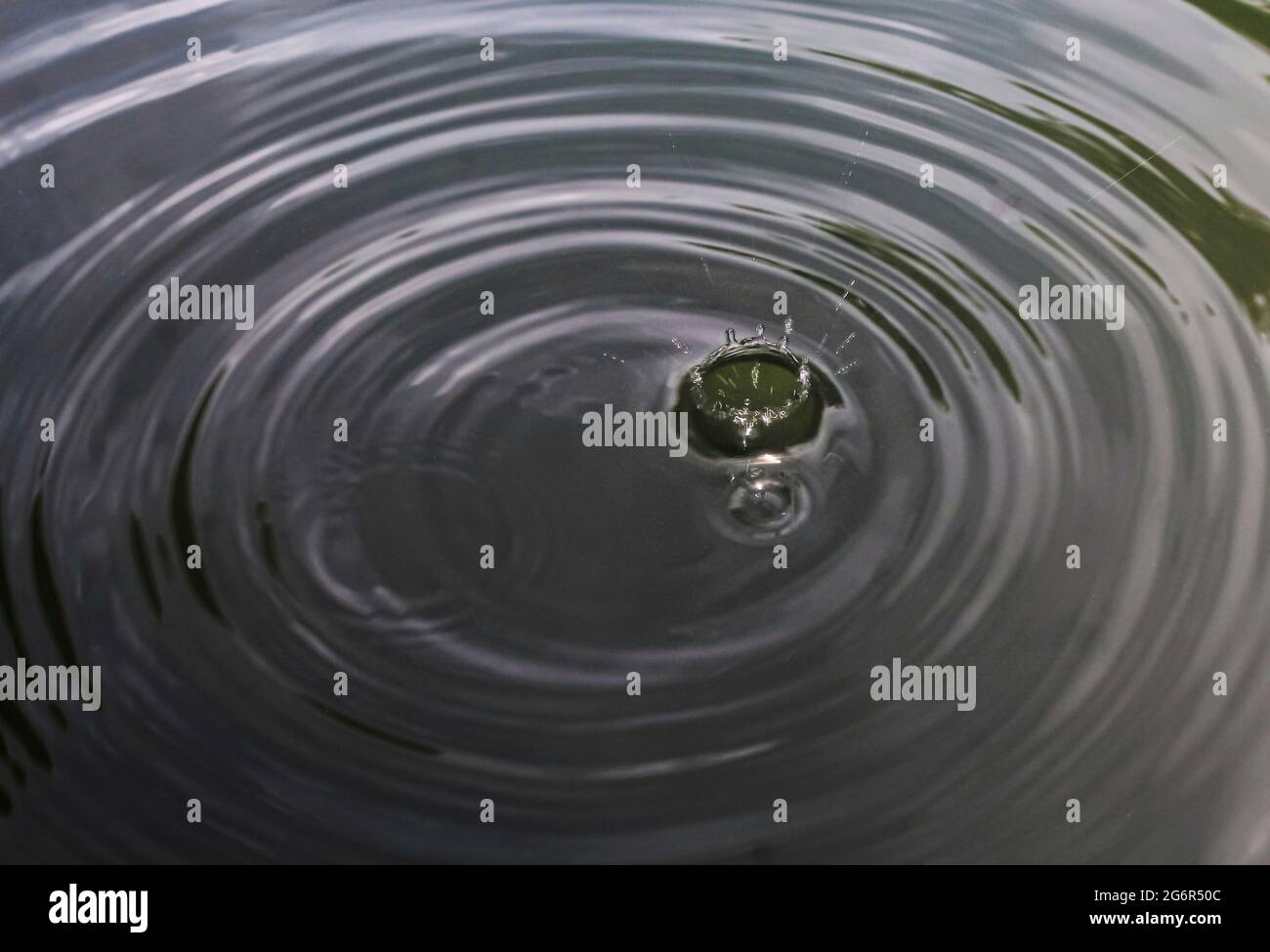 water drop splash in water with blur background for wallpaper Stock ...