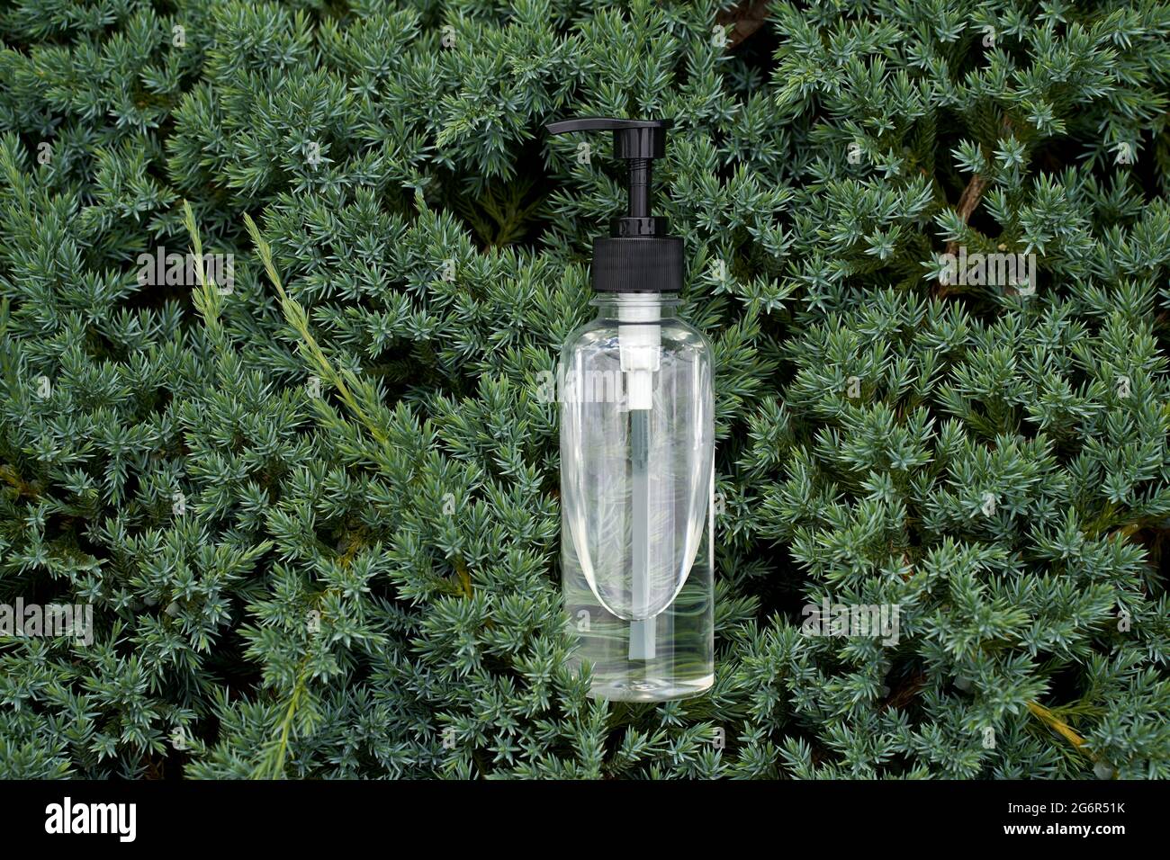 Fir tree essential oil hi-res stock photography and images - Alamy