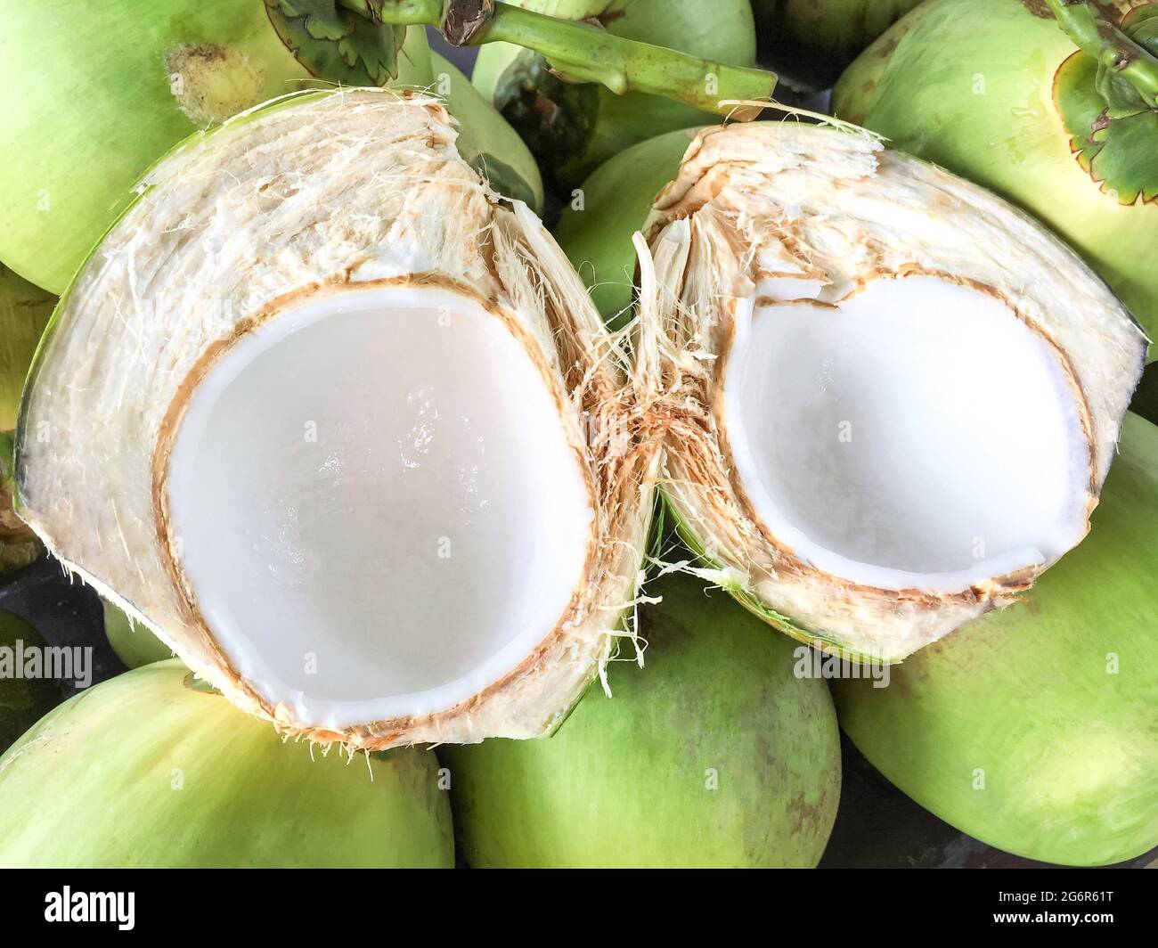 Young fresh coconut with white meat for summer fruit Stock Photo - Alamy