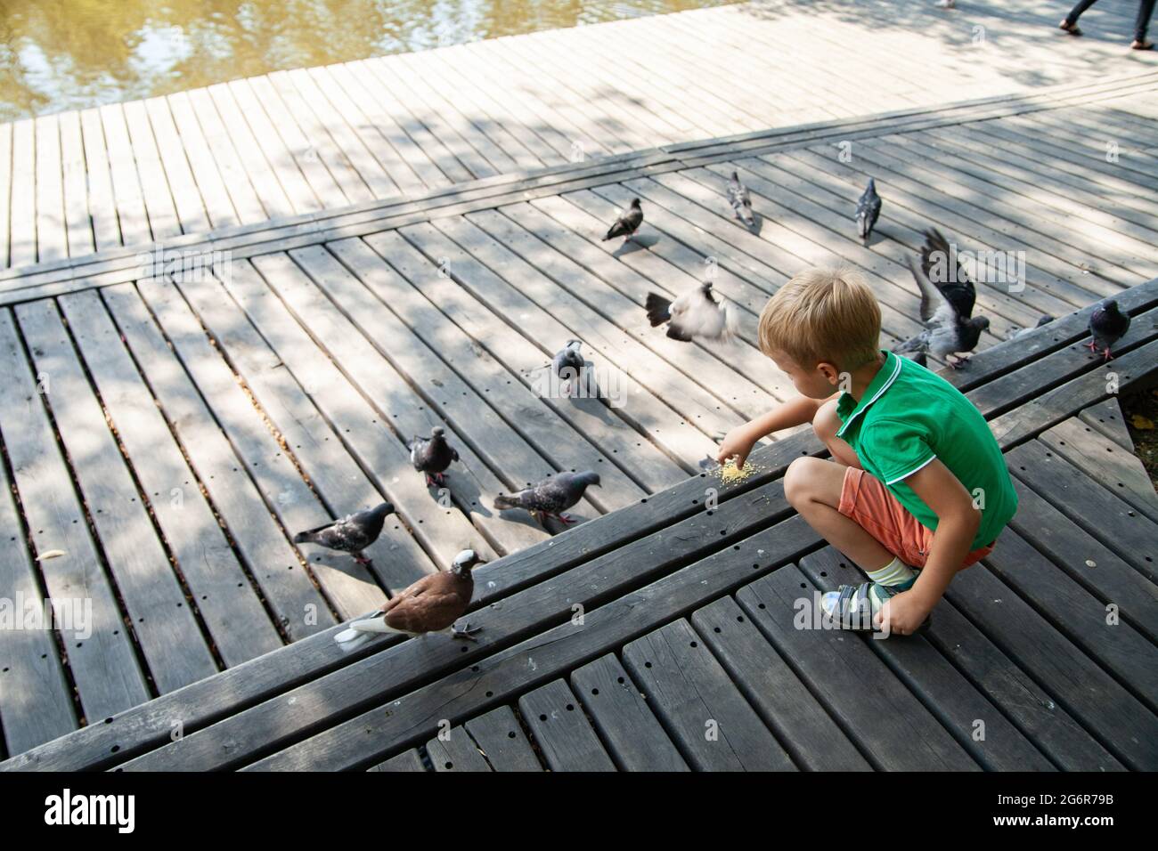 Little kid feeding pigeons on street in summer day in park Stock Photo ...