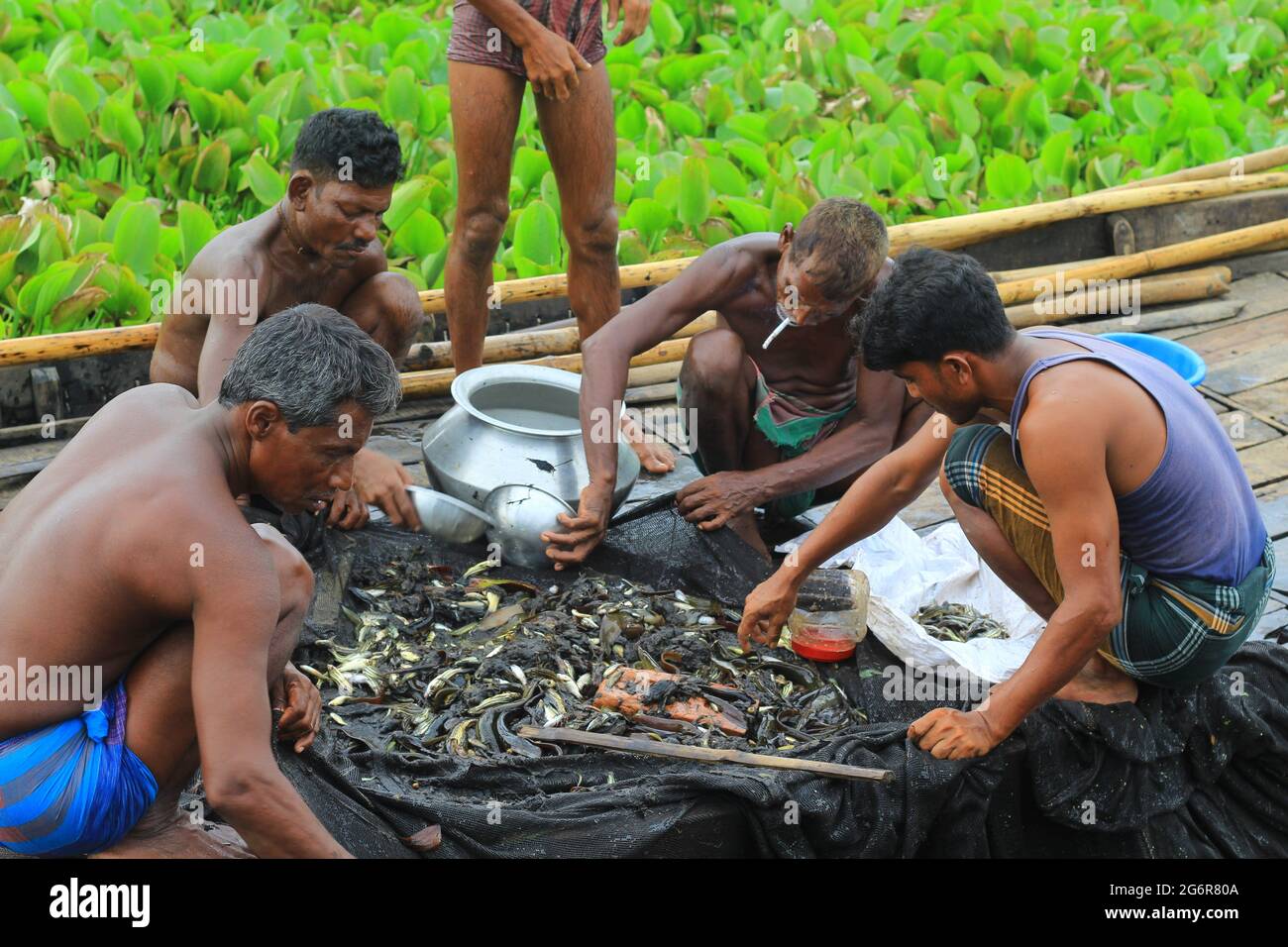 Bangladeshi traditional fishing net hi-res stock photography and images ...