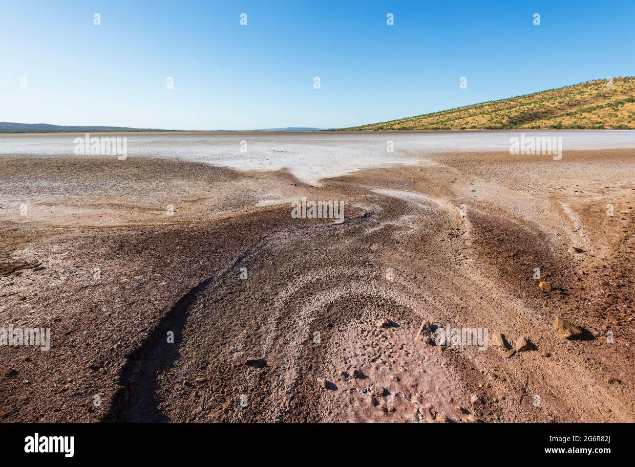 Drying mud texture hi-res stock photography and images - Alamy