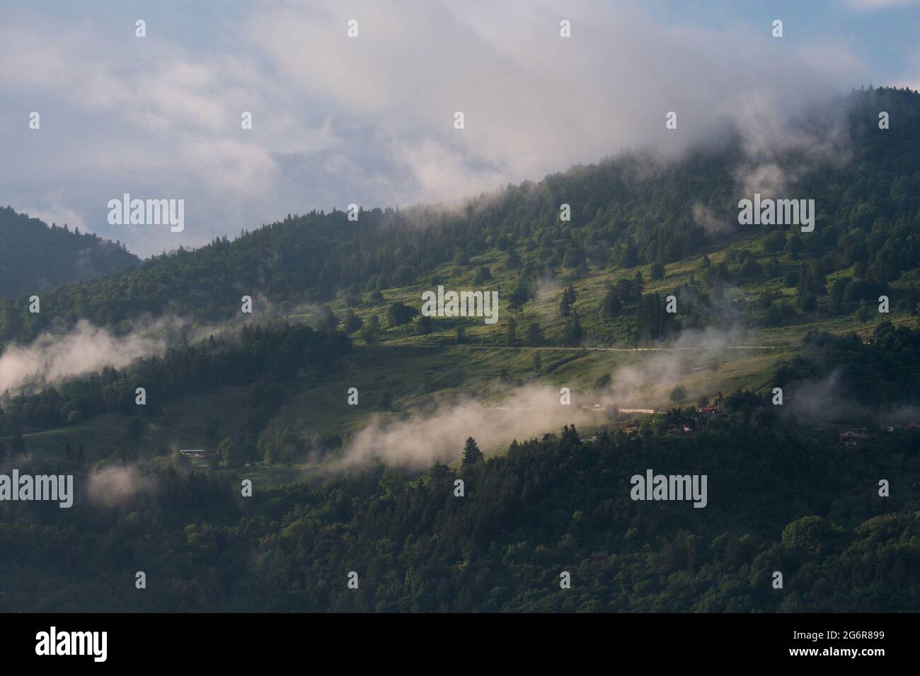 Misty natural scenic view in Romanian Mountains after rain. Healthy ...