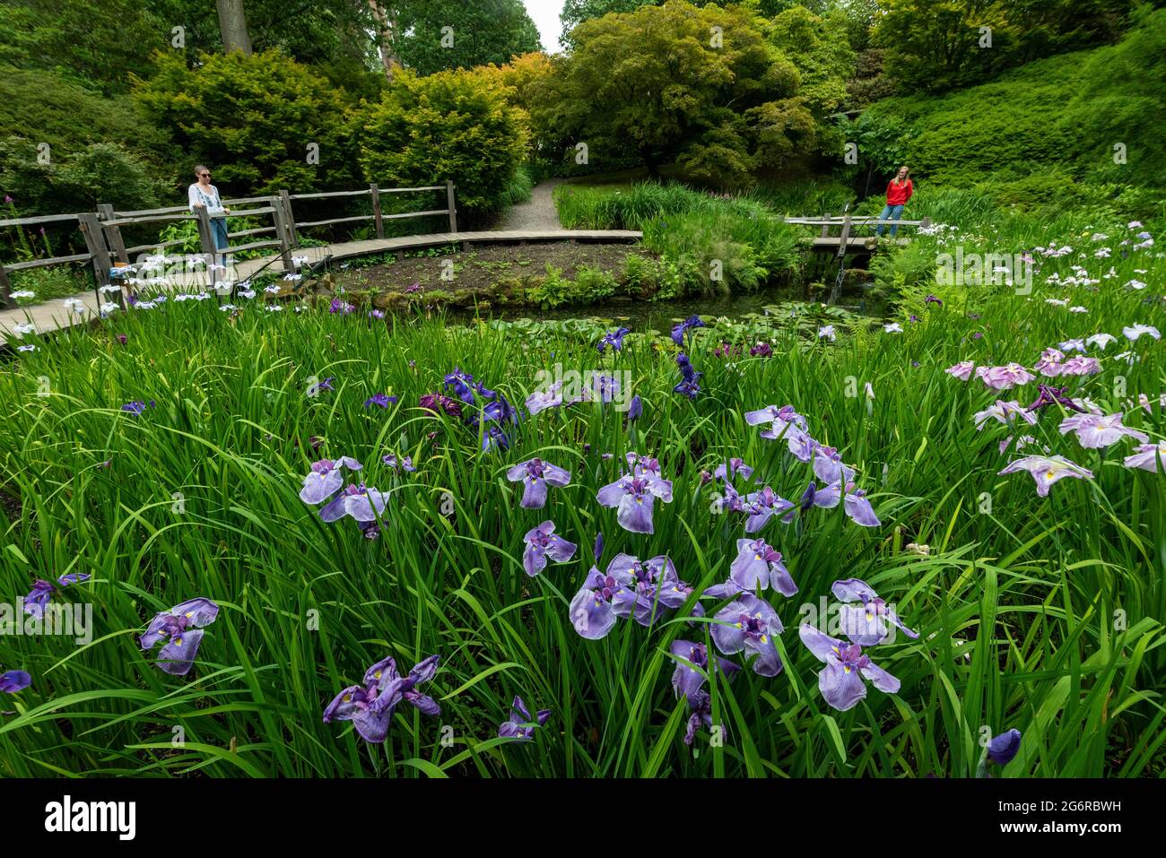 Art hindle hi-res stock photography and images - Alamy