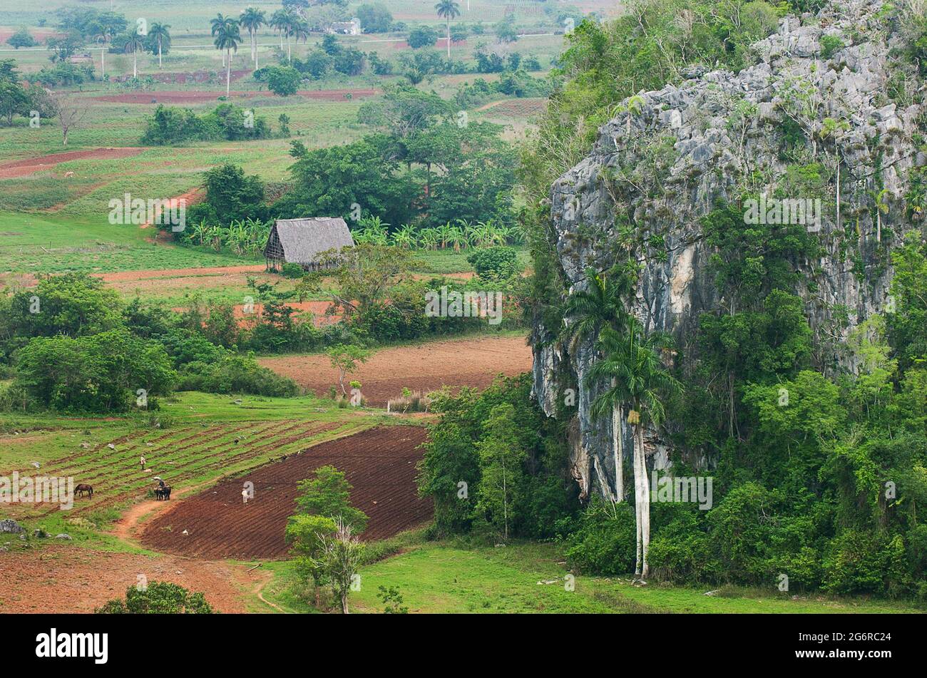 Cuban farmland hi-res stock photography and images - Alamy