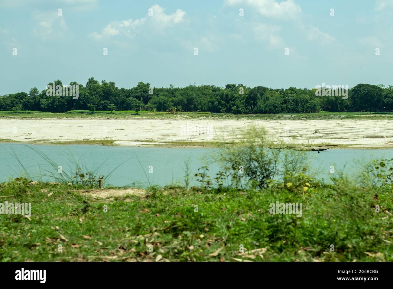 The river channel and the big trees surrounded by the beautiful ...