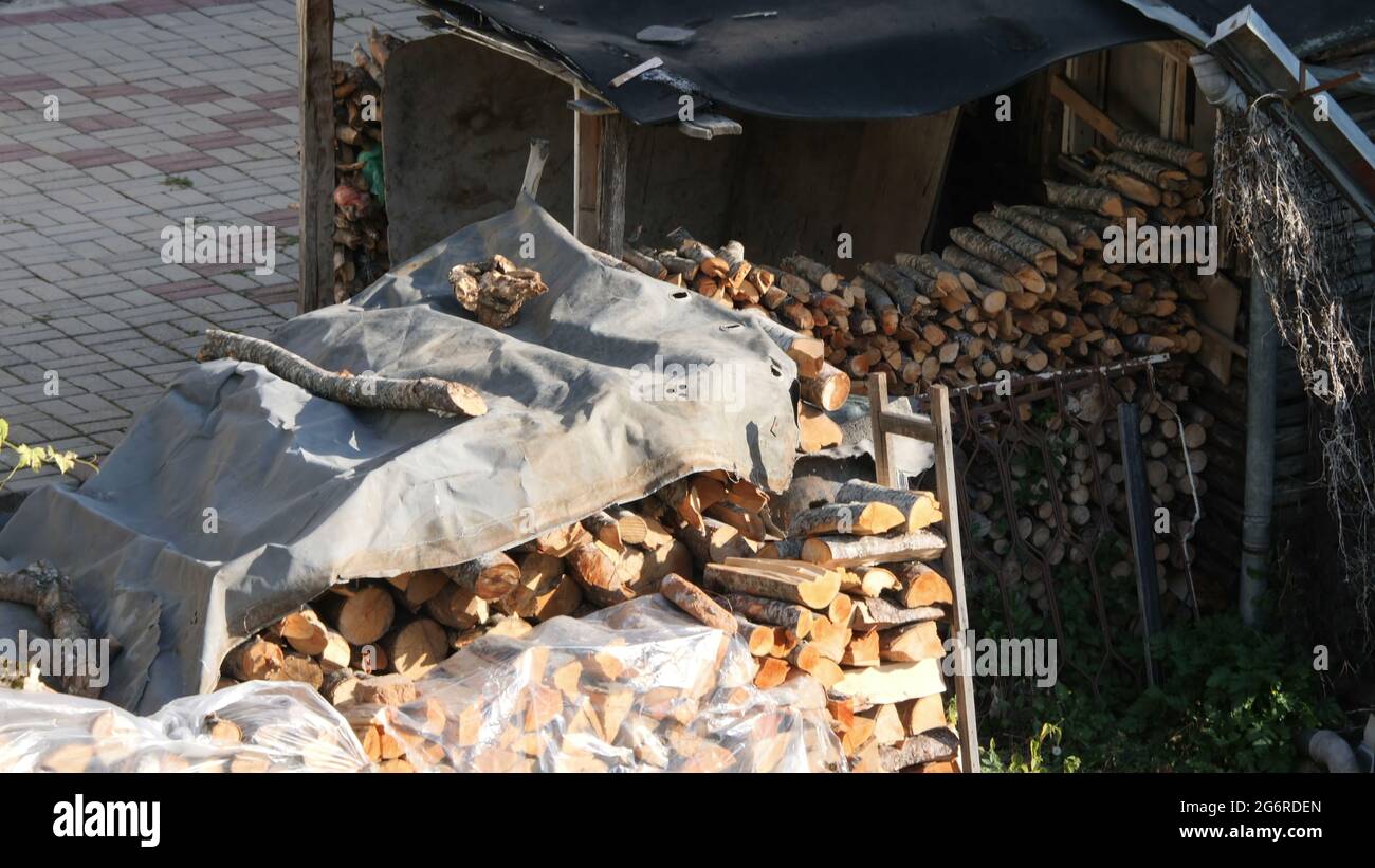 Closeup burning birch firewood hi-res stock photography and images - Alamy