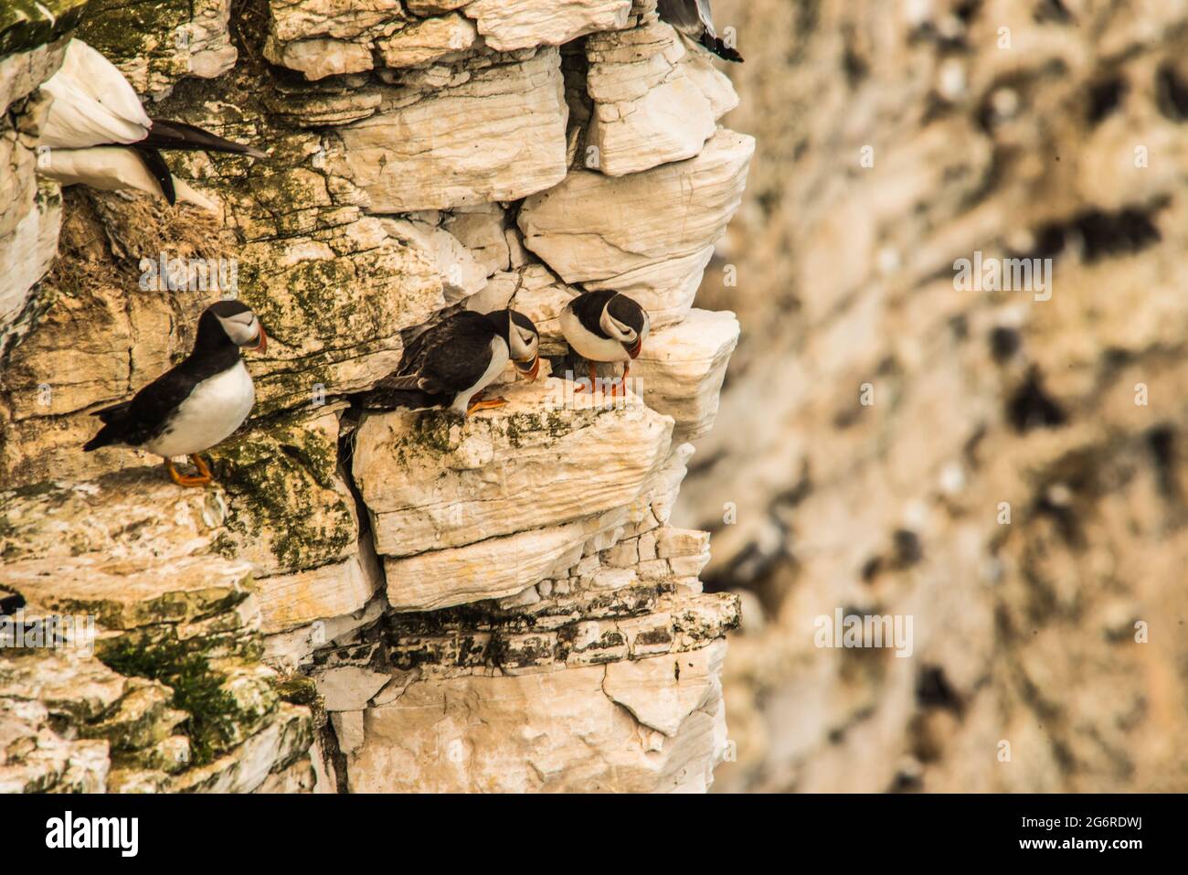 threes a crowd Raymond Boswell Stock Photo - Alamy