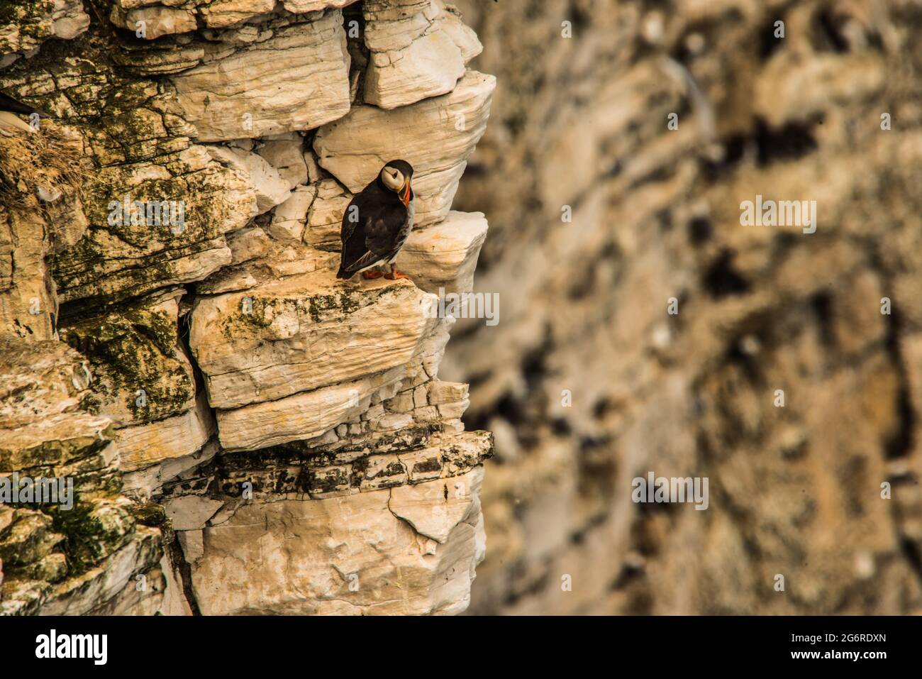 Looking outwards hi-res stock photography and images - Alamy