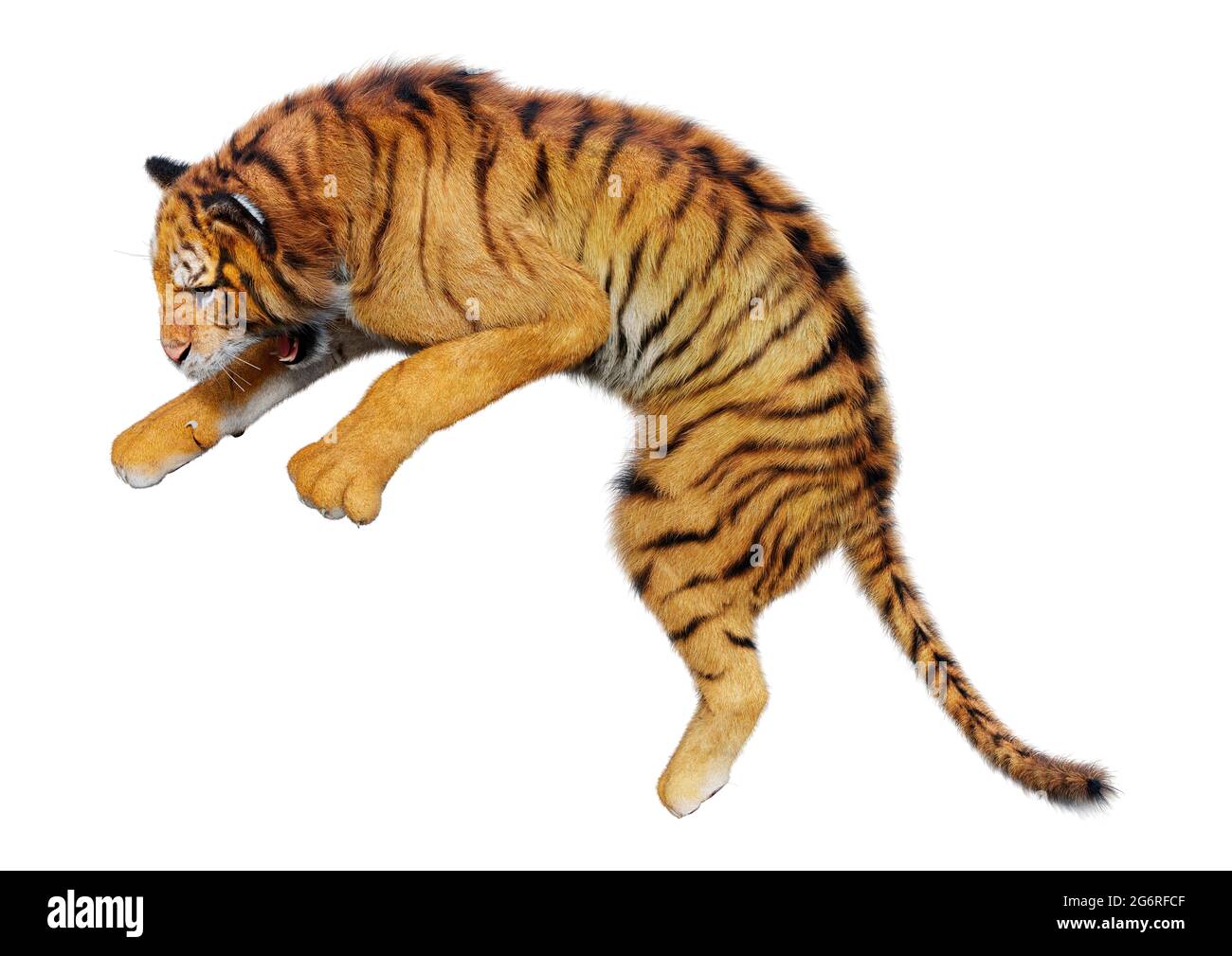 3D rendering of a big cat tiger isolated on white background Stock ...