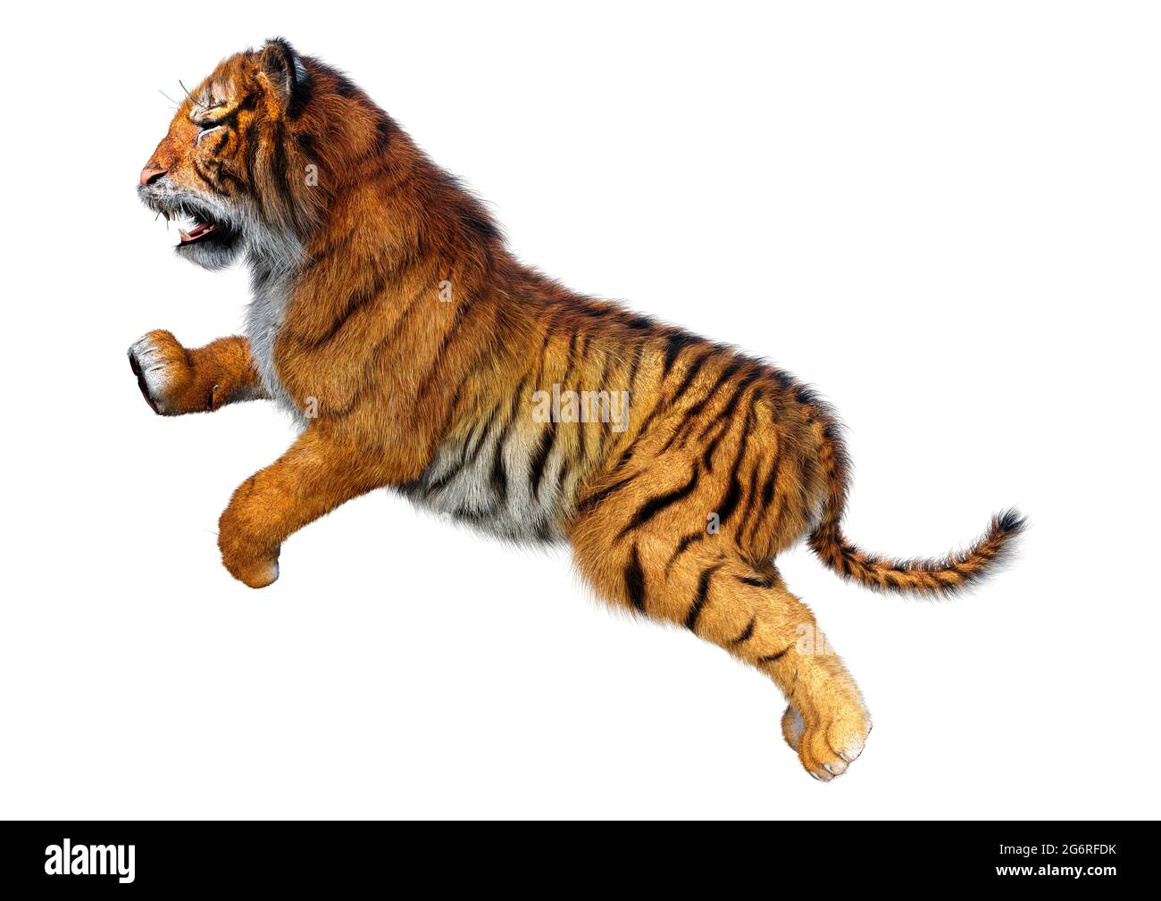 3D rendering of a big cat tiger isolated on white background Stock ...