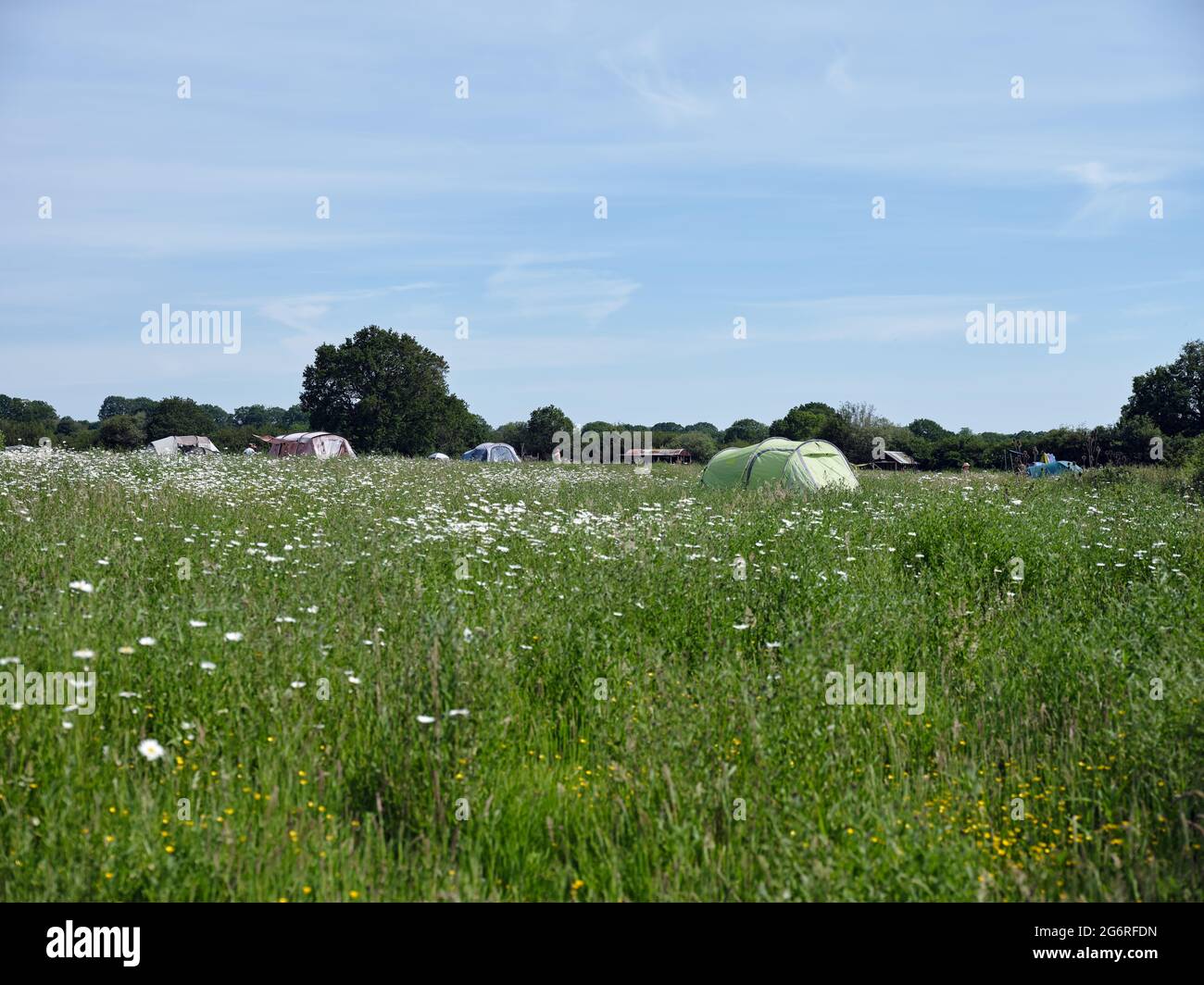 The campsite and tents and summer wildflower meadow in the low ...