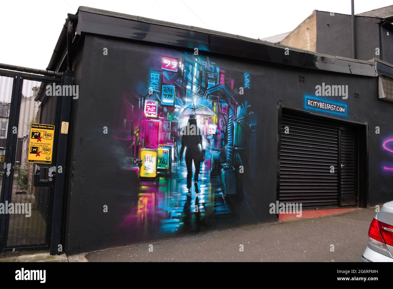 Mural art by Dan Kitchener on Enfield Street, Belfast 2021 Stock Photo ...
