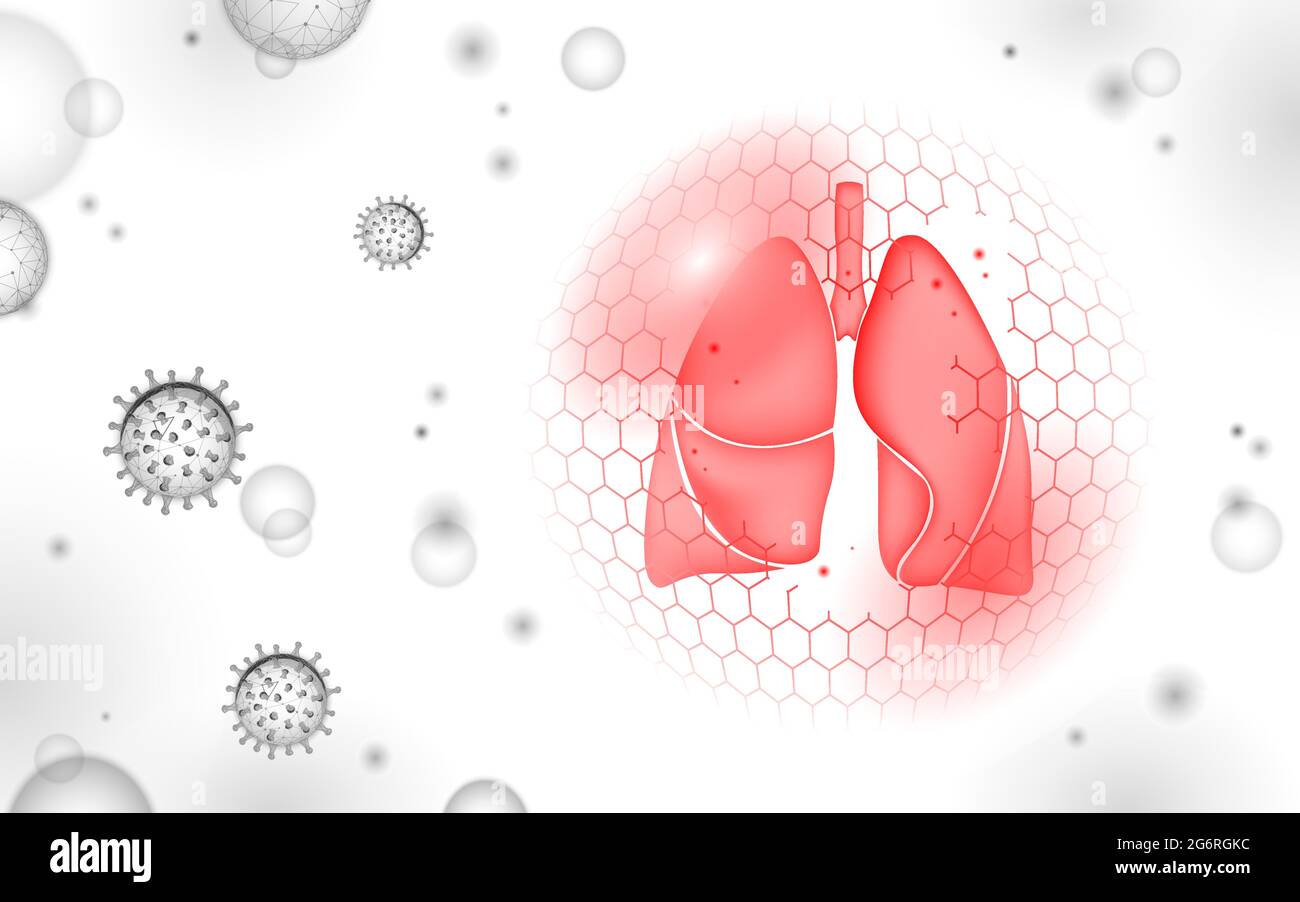3D human lungs medicine microscopic research concept. Respiratory virus ...