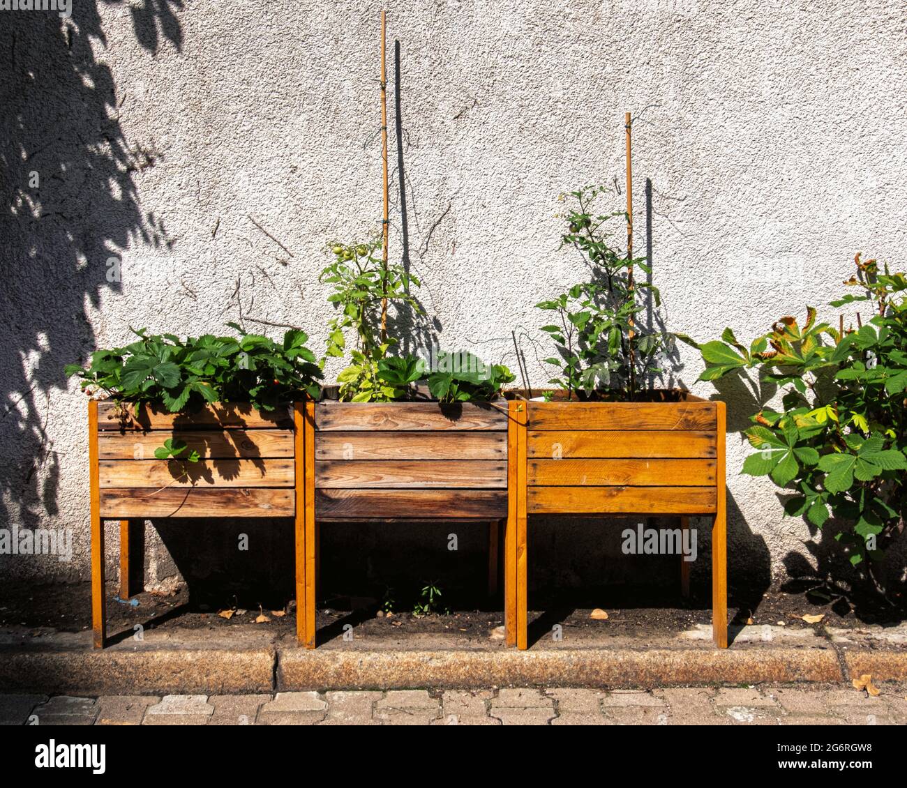 Wooden planters hi-res stock photography and images - Alamy
