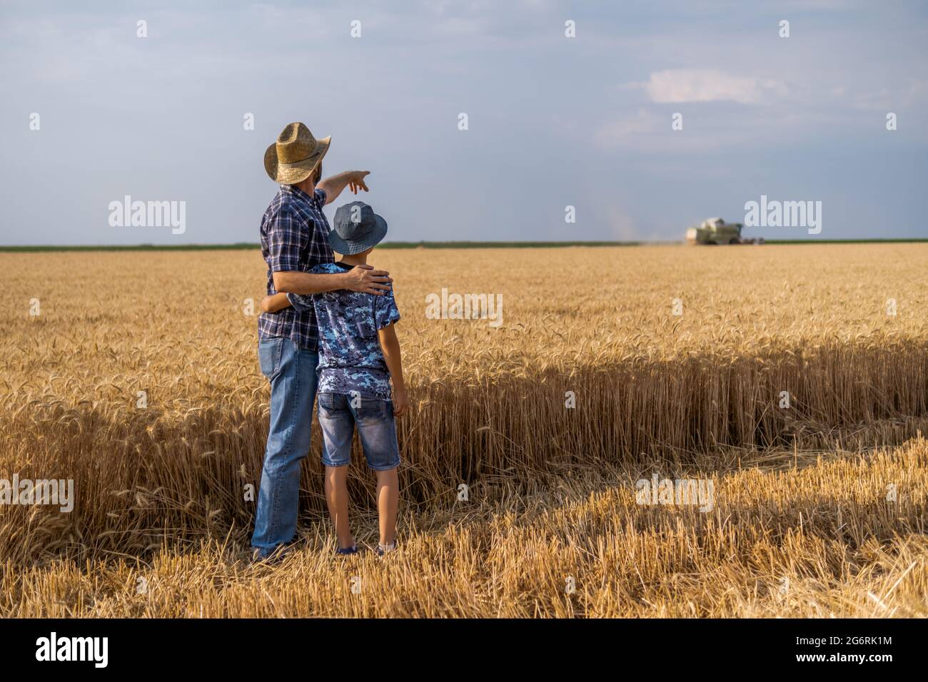 Farmers are standing in their wheat field while the harvesting is ...