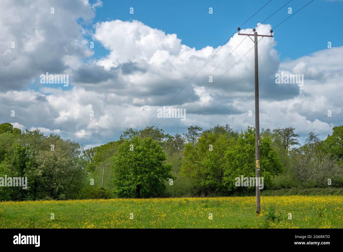 Flower electric field hi-res stock photography and images - Alamy